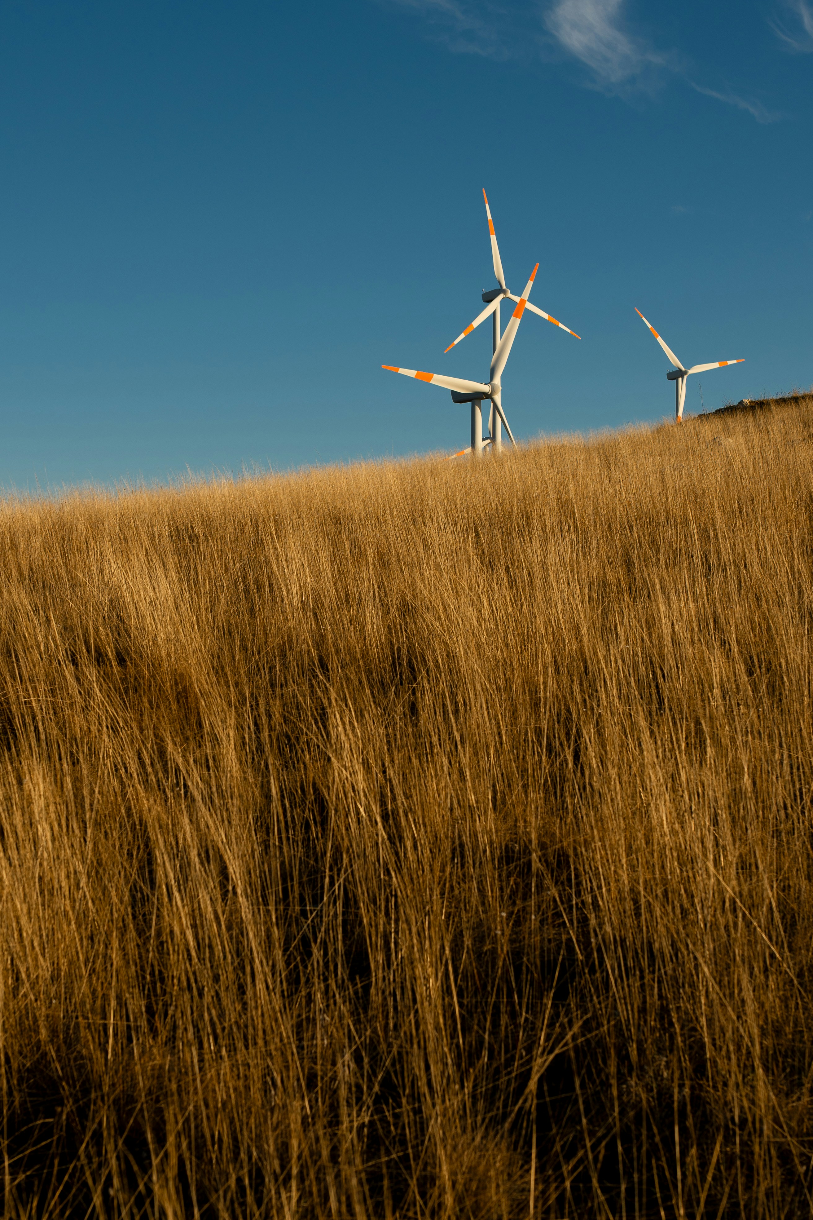 Golden Ridge: Wind Turbines on a Quiet Blue Horizon