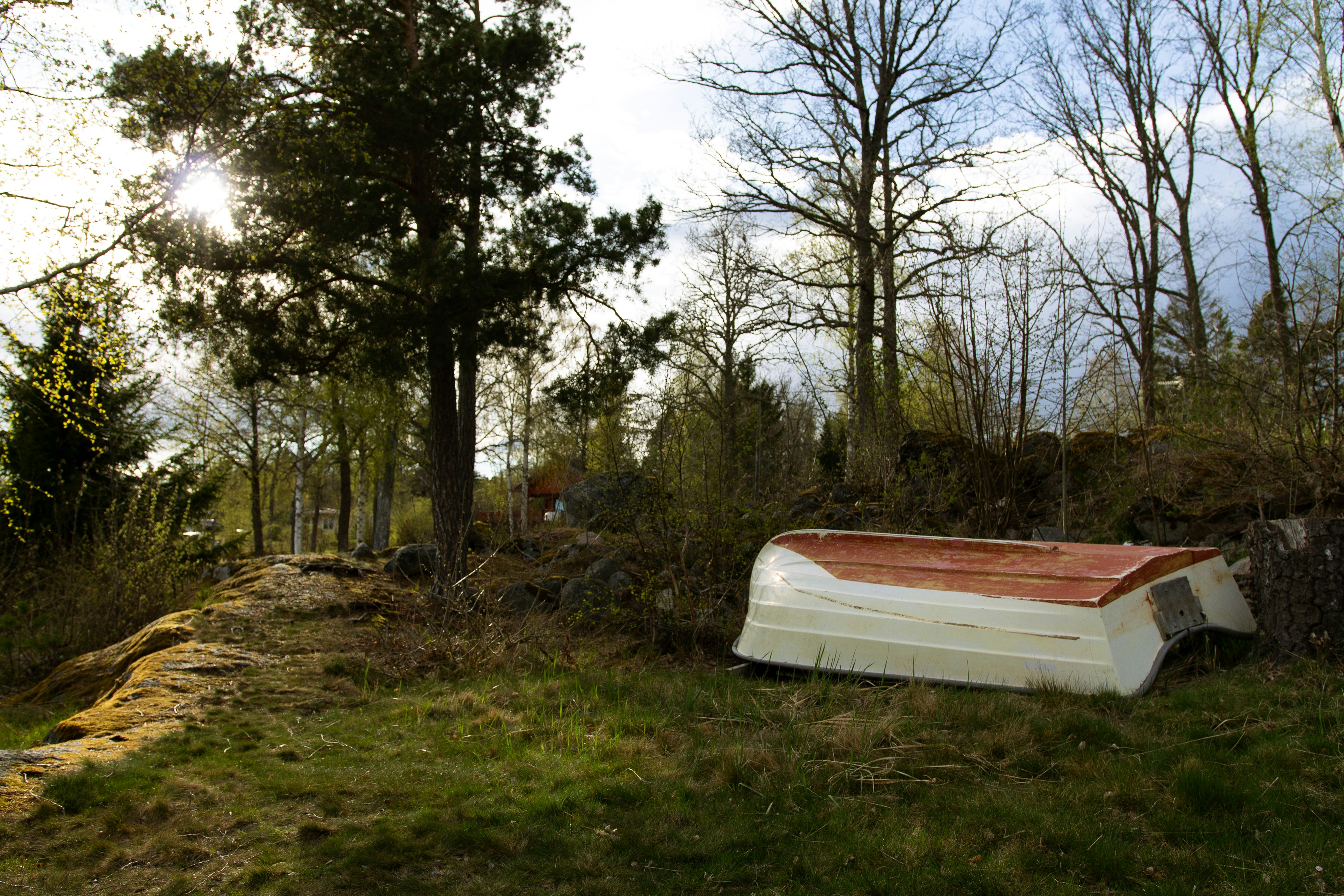 Sunlit Edge: An overturned boat resting in a grassy clearing by the trees