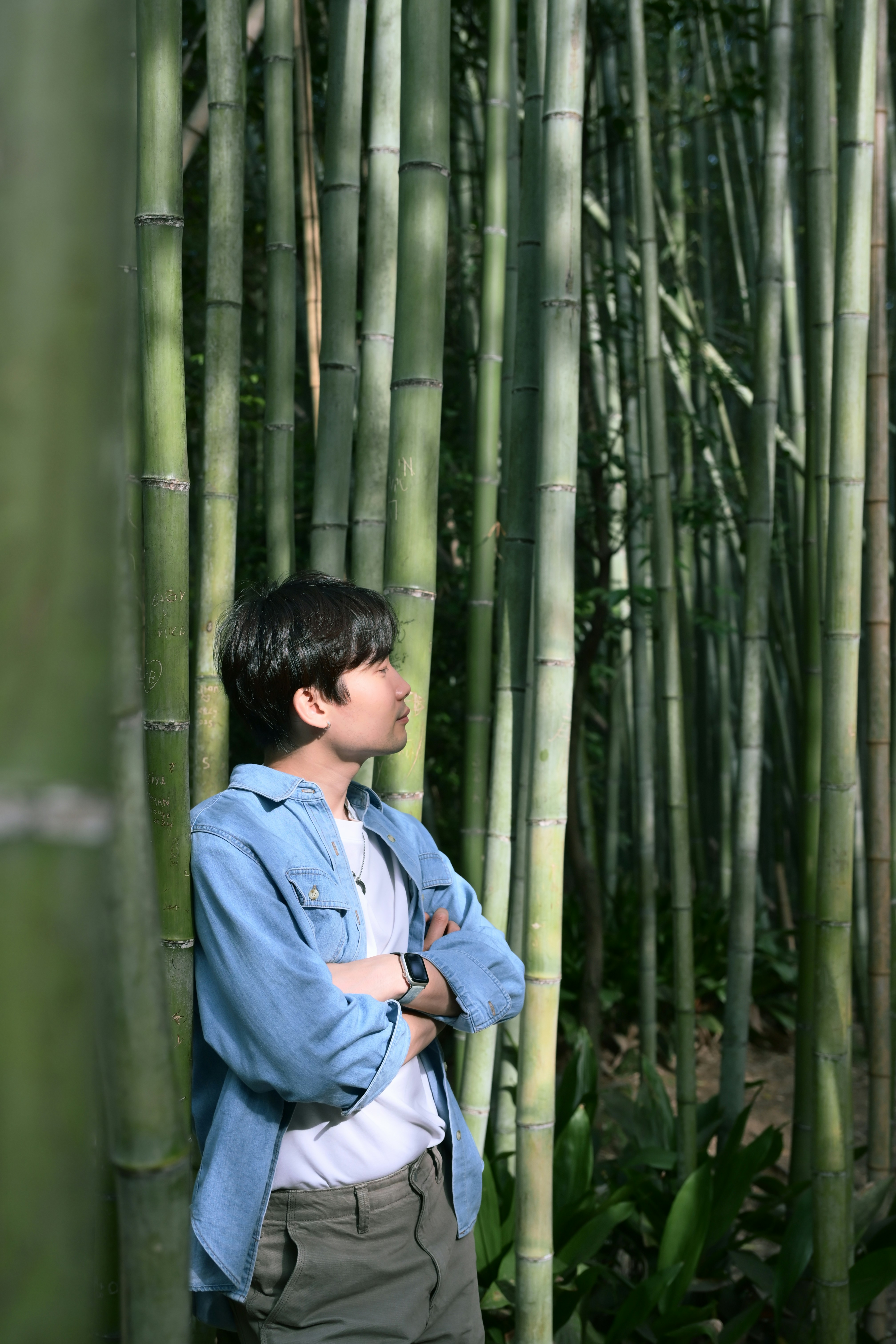 Blue Denim in a Bamboo Alley: A Portrait of Stillness Among Stalks