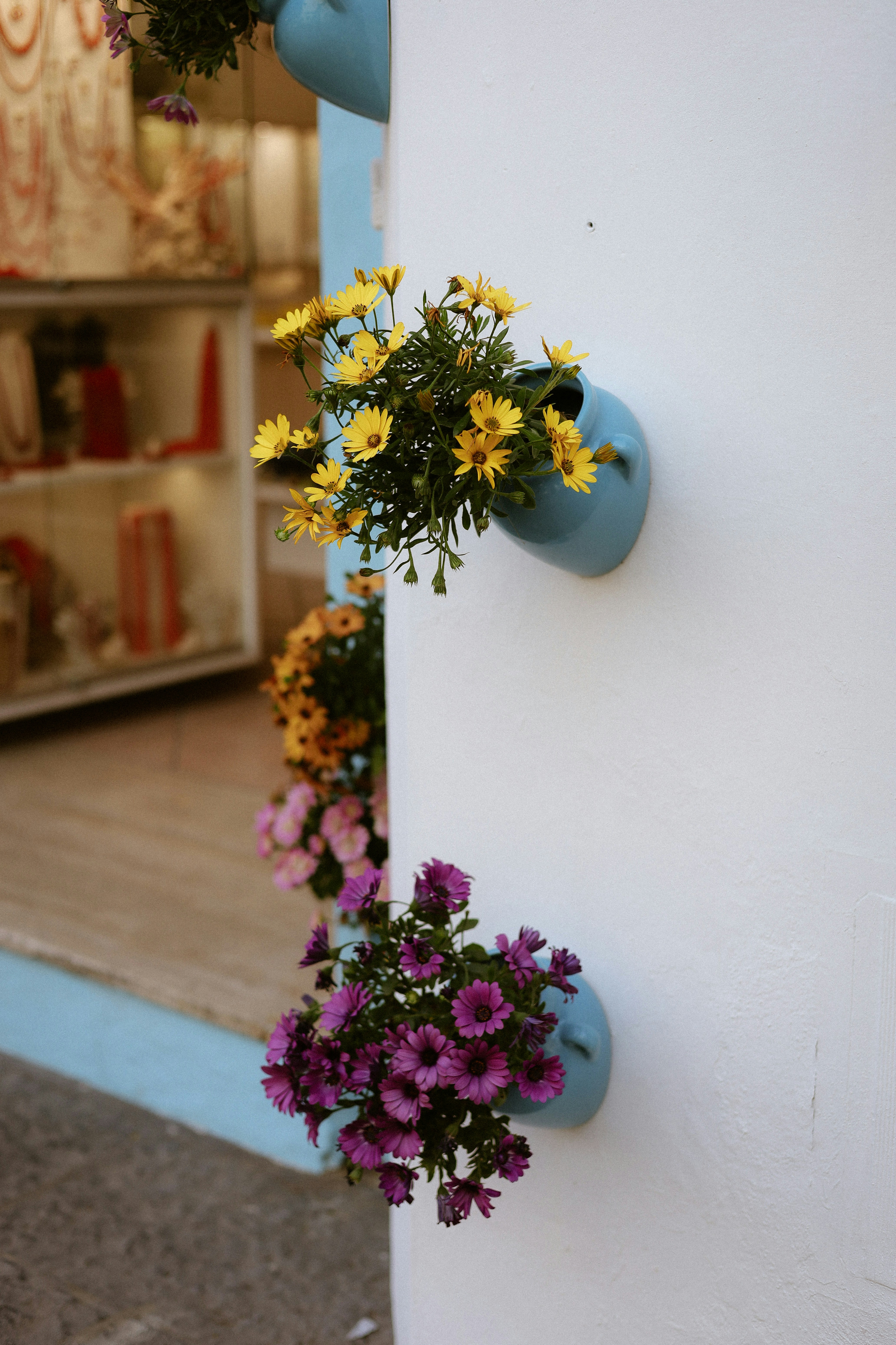 Two Blue Wall Planters Frame Yellow Above and Purple Below on a White Facade