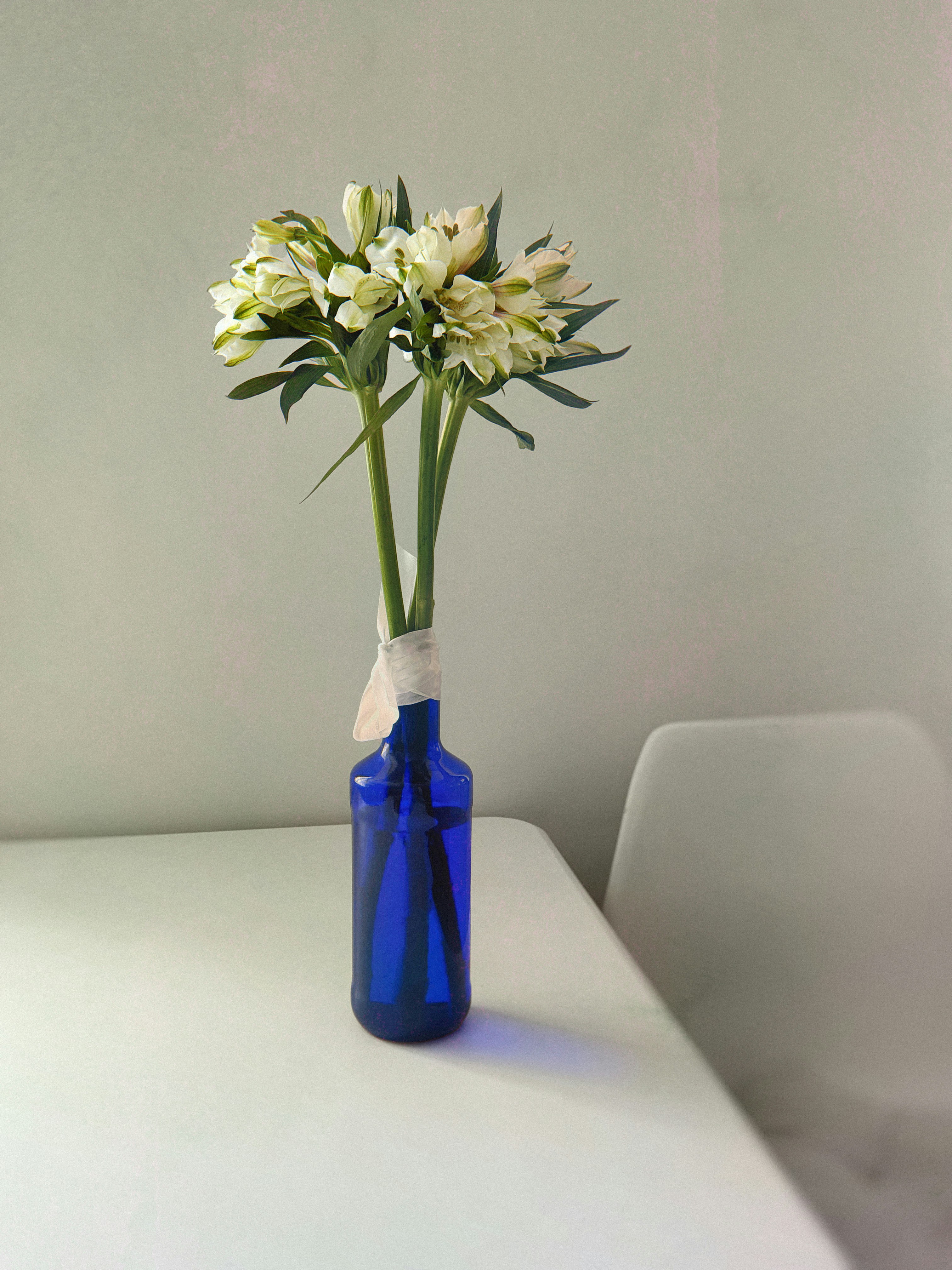 Cerulean Vessel, Quiet Bouquet: A Minimal Still Life on White