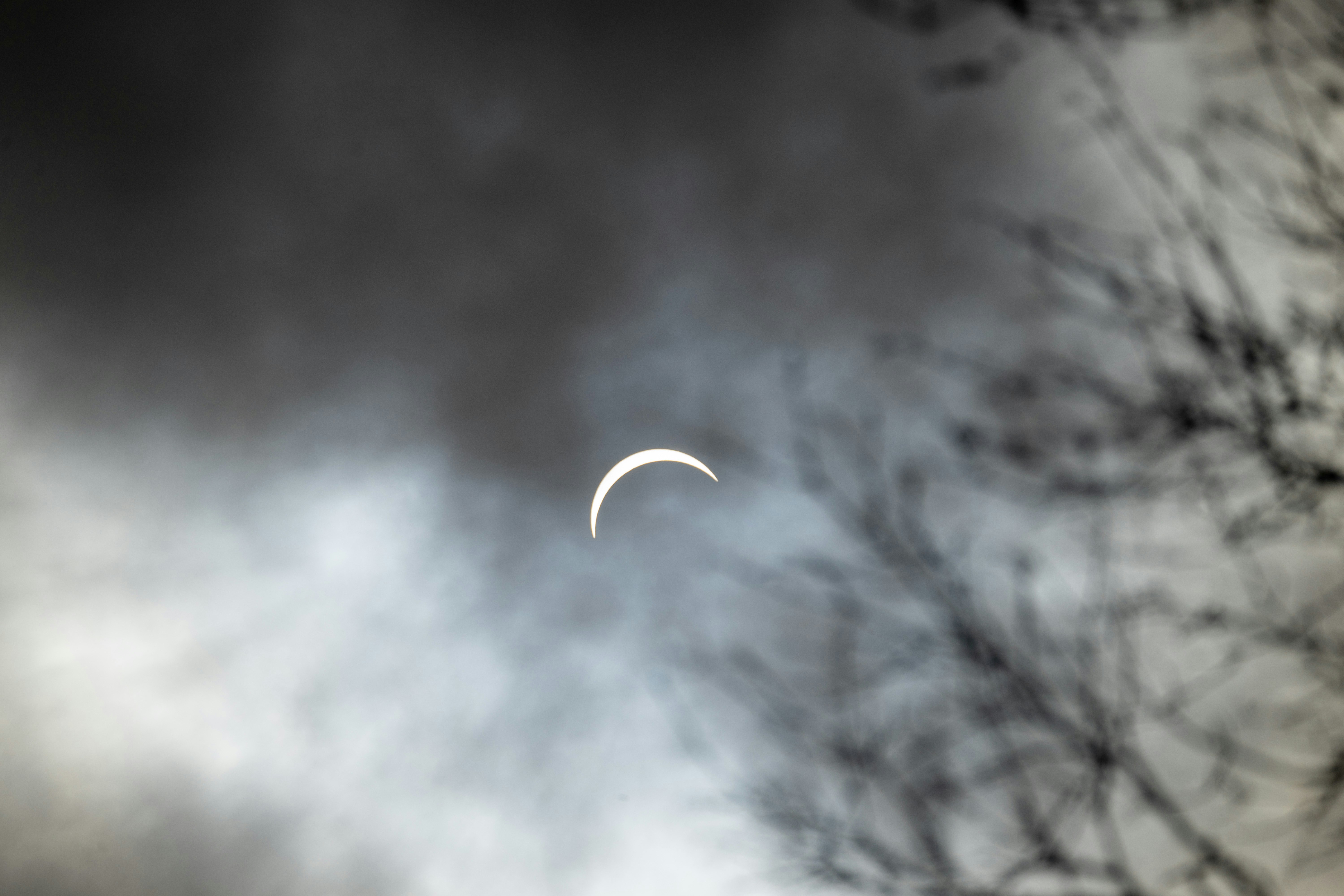 A crescent sun partially obscured by dark clouds, framed by the silhouettes of bare branches. The scene captures a moment of celestial transition.