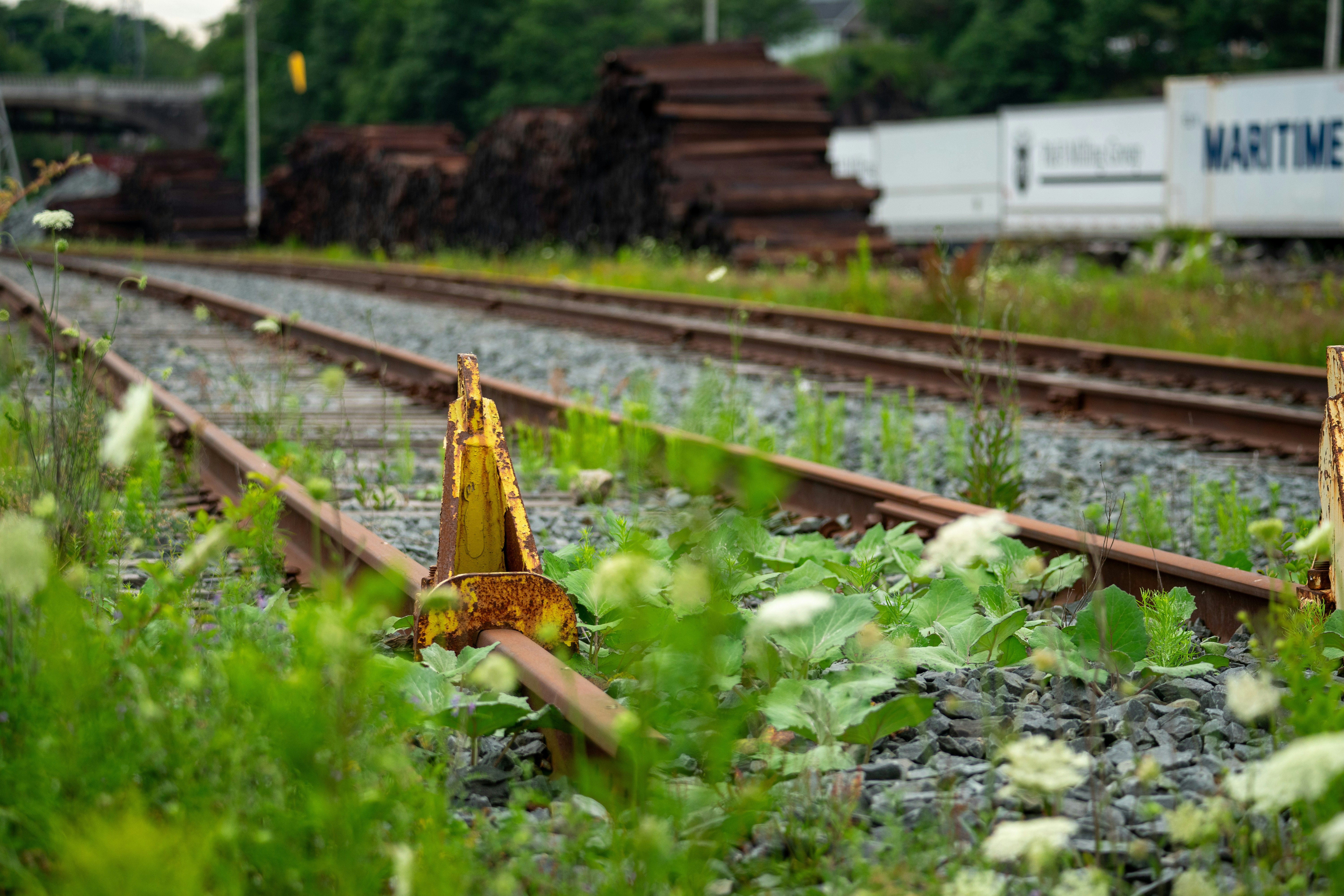Rusted Rail Marker: A Quiet Green Sentinel on the Freight Line