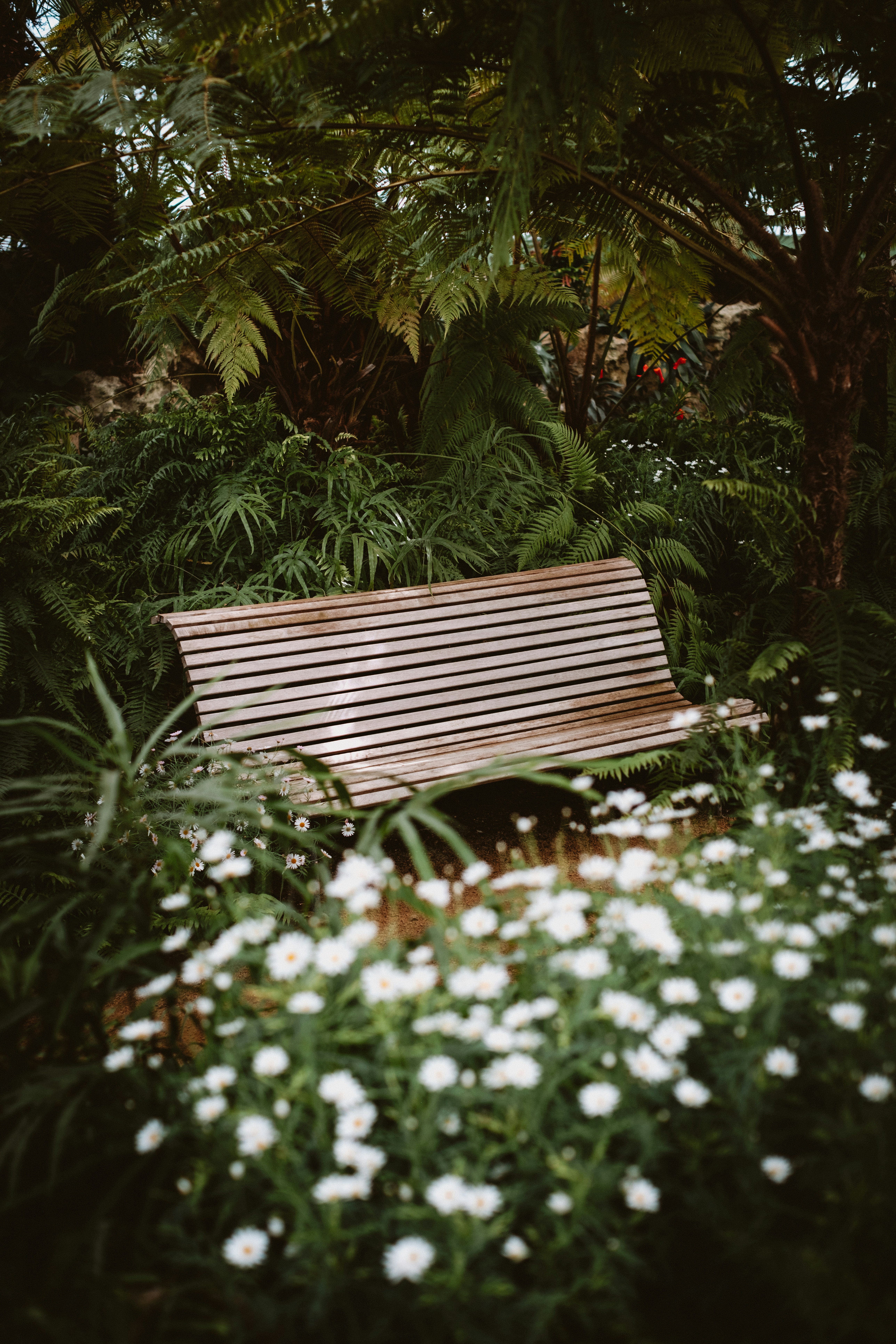 Take A Rest Pictures | Download Free Images on Unsplash
