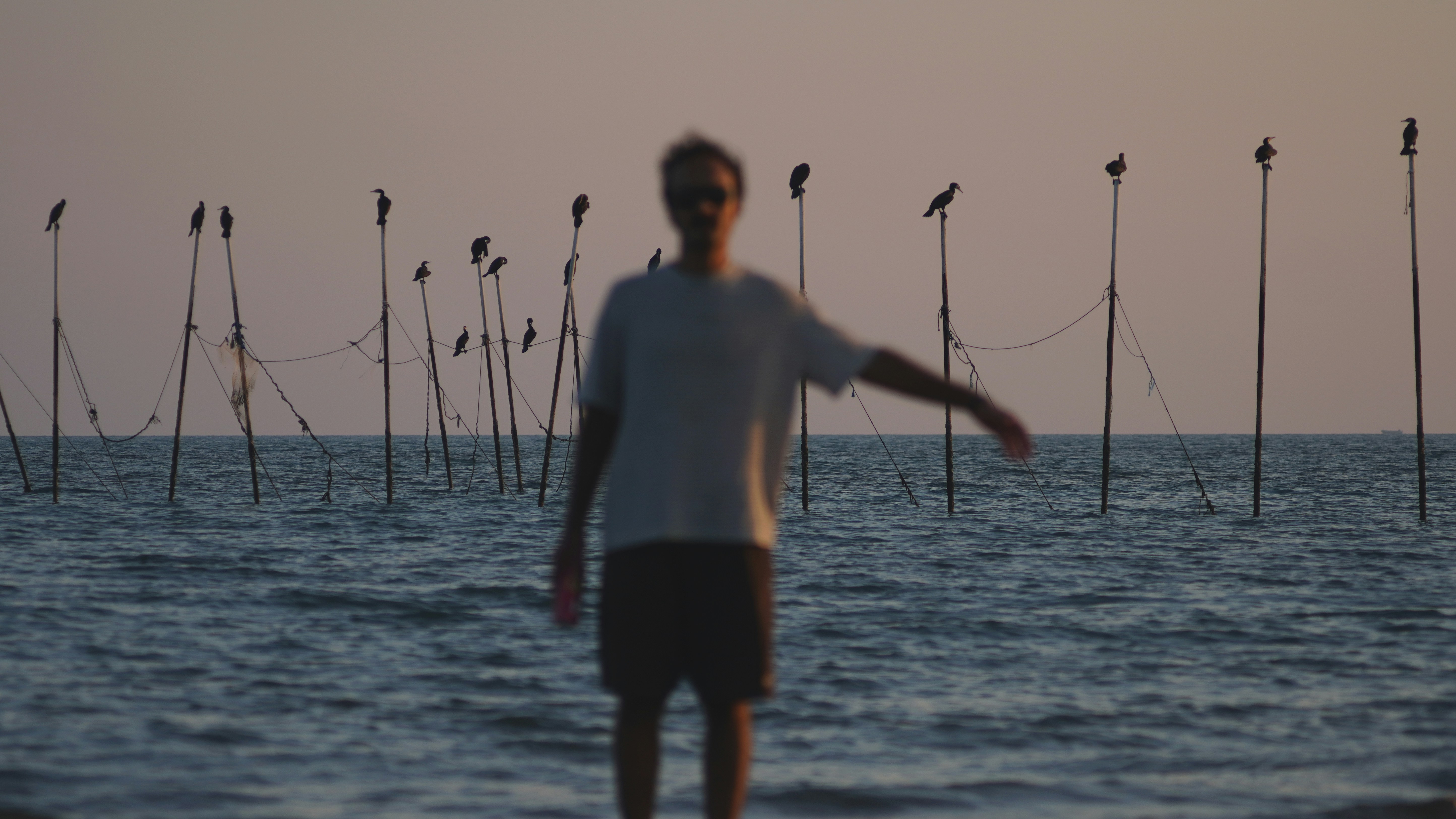 Blurred Seaside Figure Amid Silent Poles at Dusk