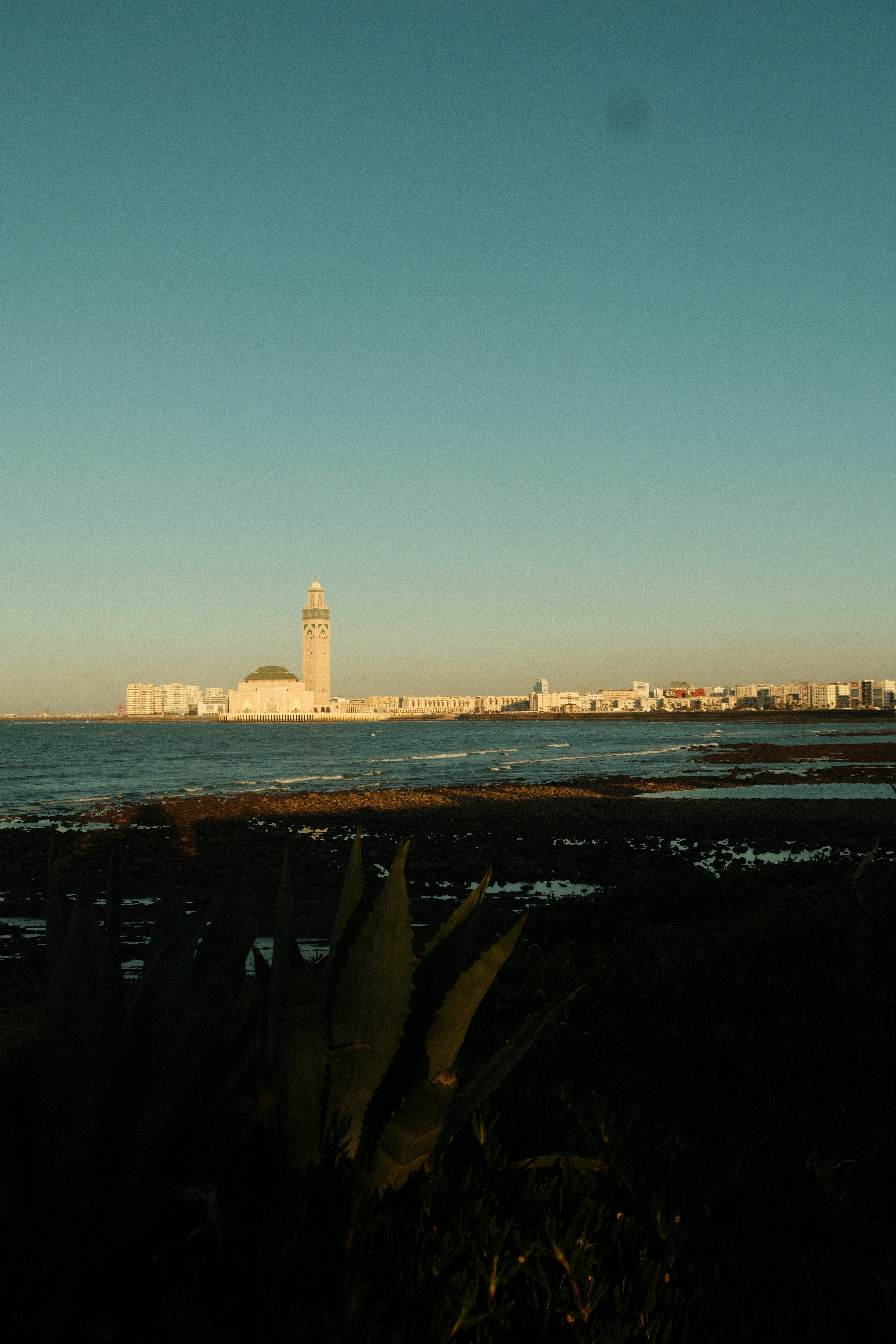 Whispers of the Coastal Horizon