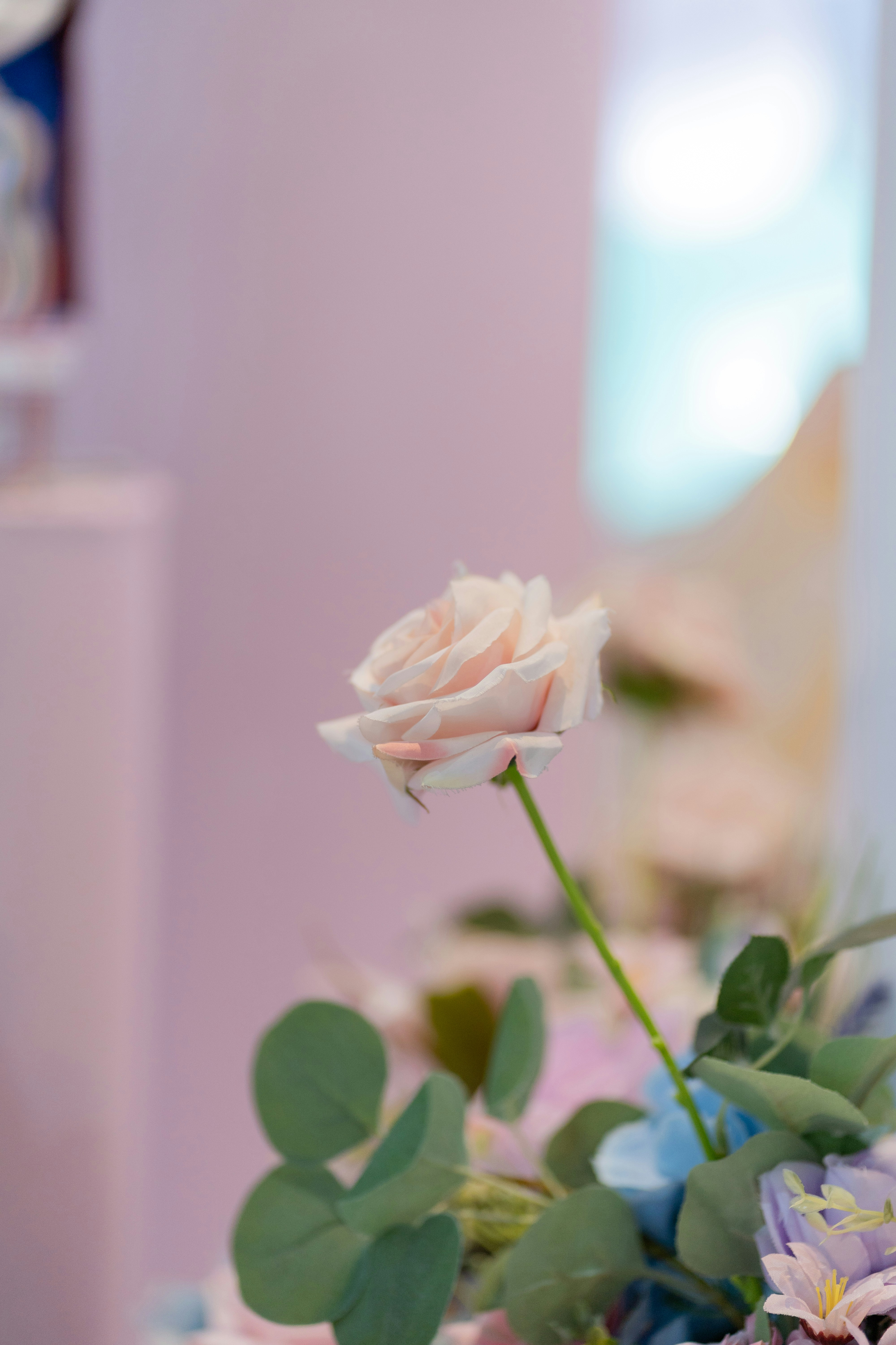 Photo by Rodrigo Rodrigues | WOLF Λ R T with Sony Alpha 7 III