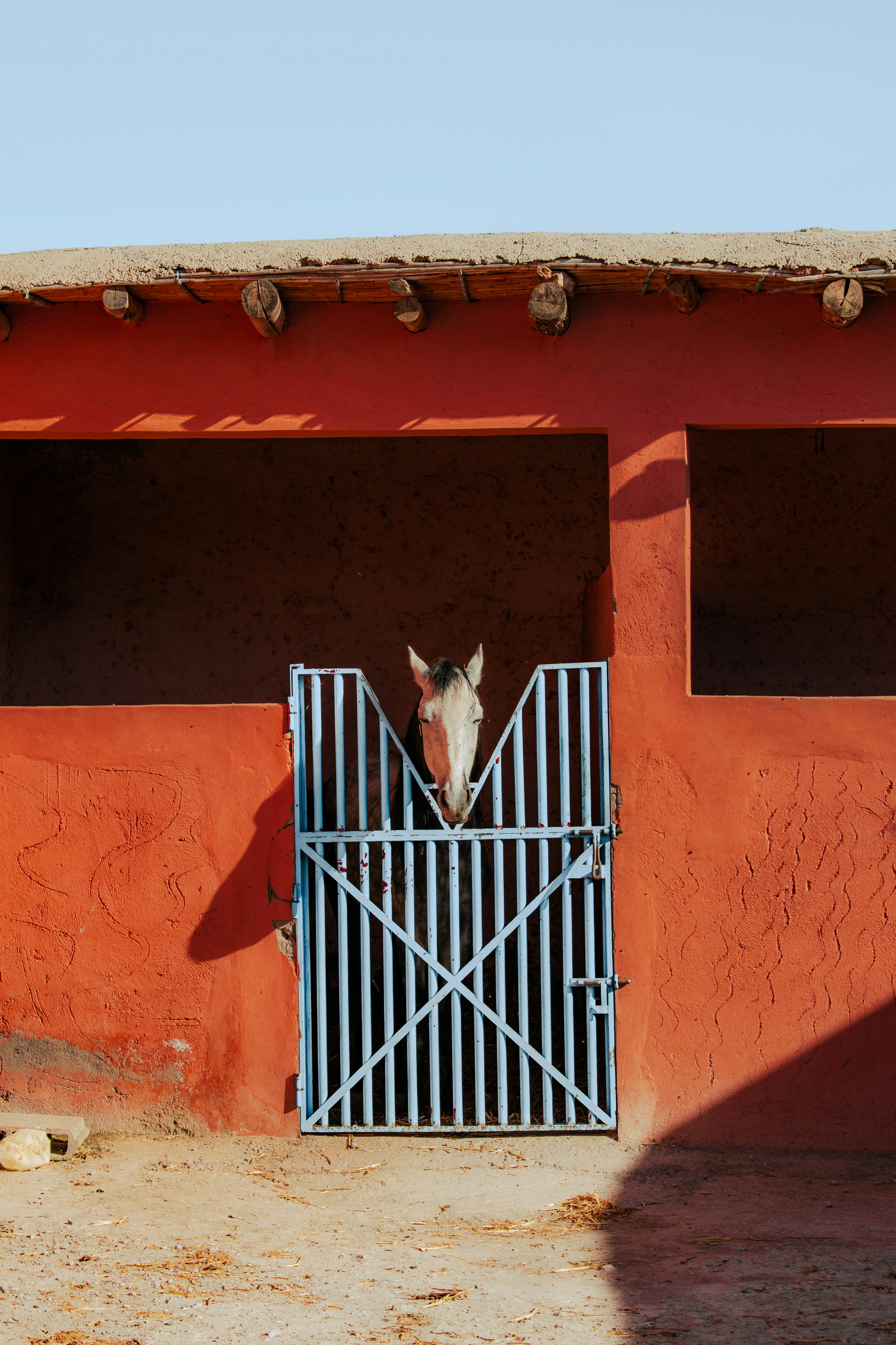 Horse head peeks over a blue metal gate set in a sun-warmed red stable wall. The composition centers the animal within a doorway beneath a rustic beam.