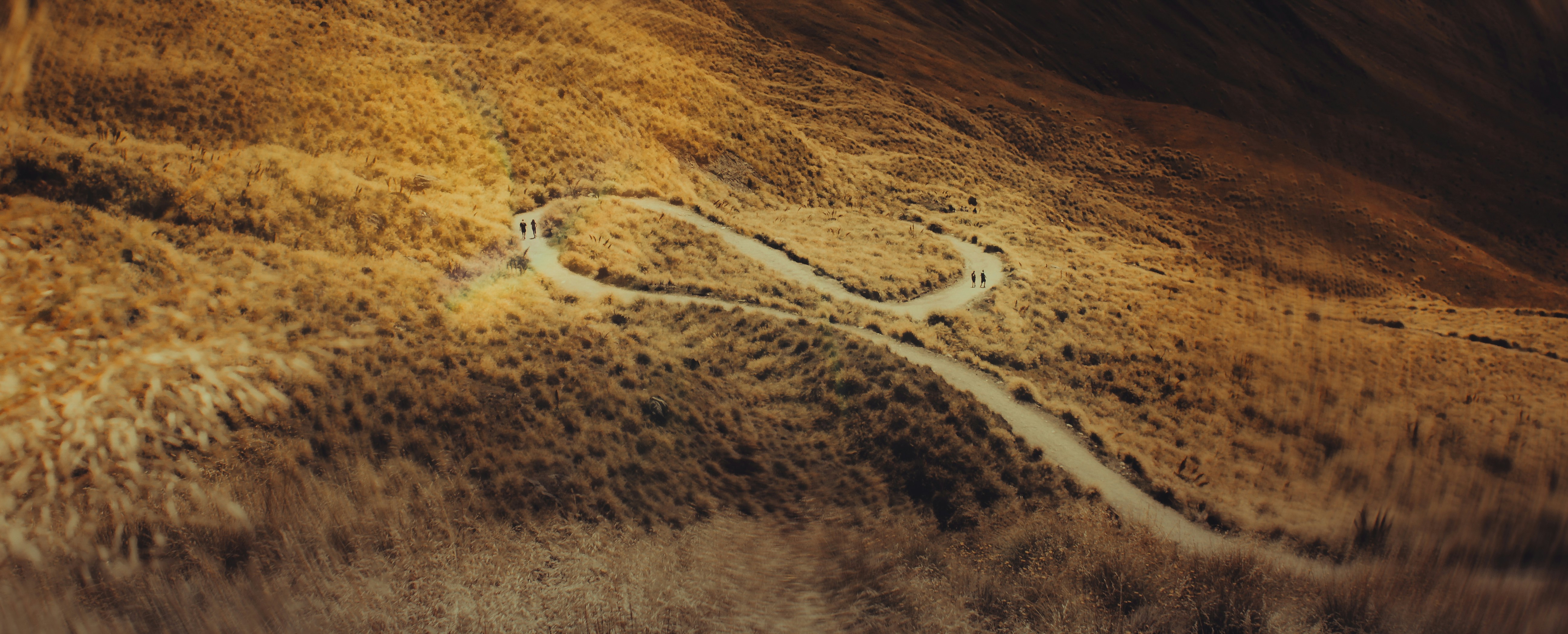 Amber Ribbon: A Winding Moor Path Through Sunlit Hills