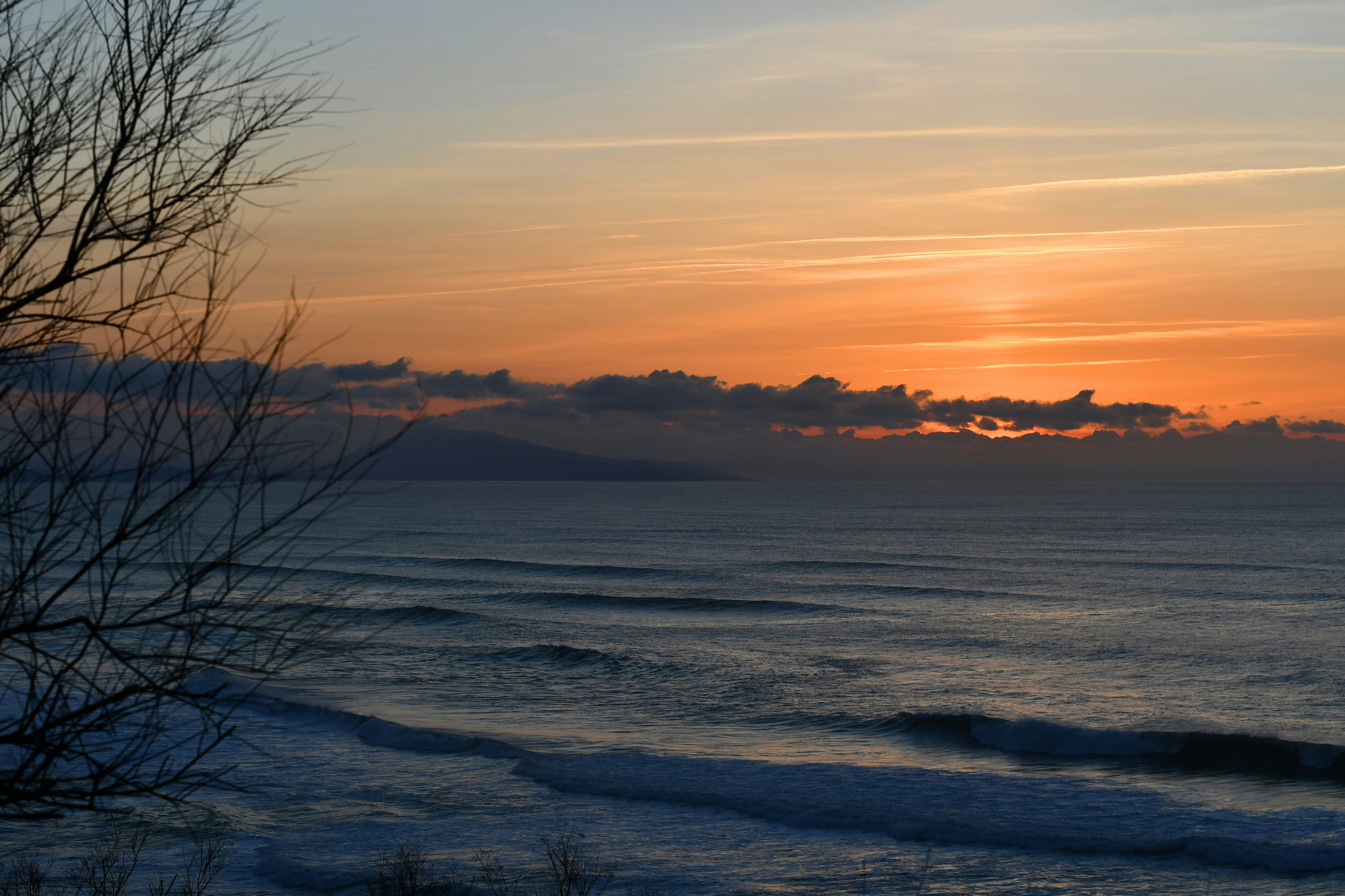Horizon Ember Over Quiet Seas, Framed by Winter Branches