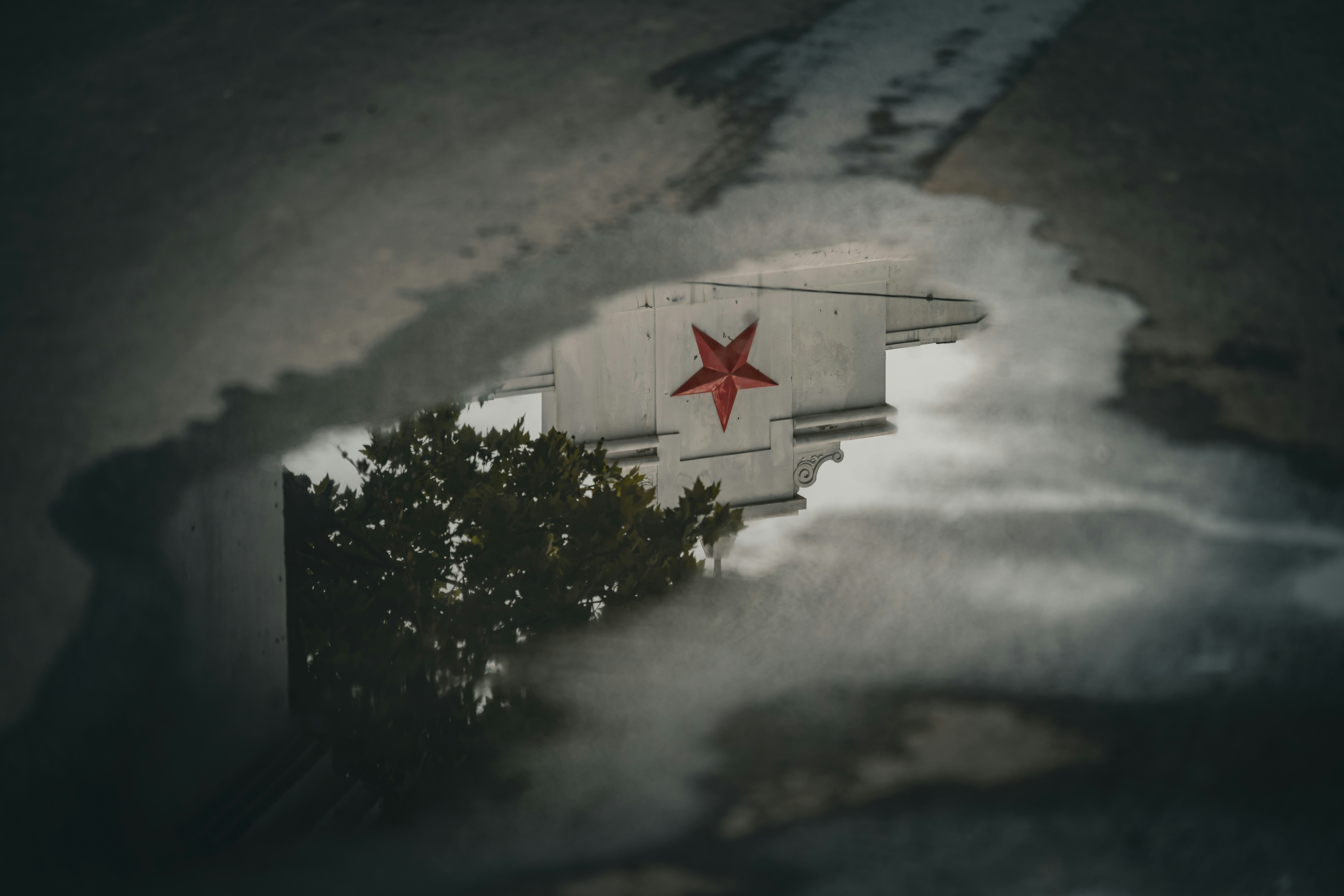 A reflection of a star in a puddle. photo – Free Dark Image on Unsplash