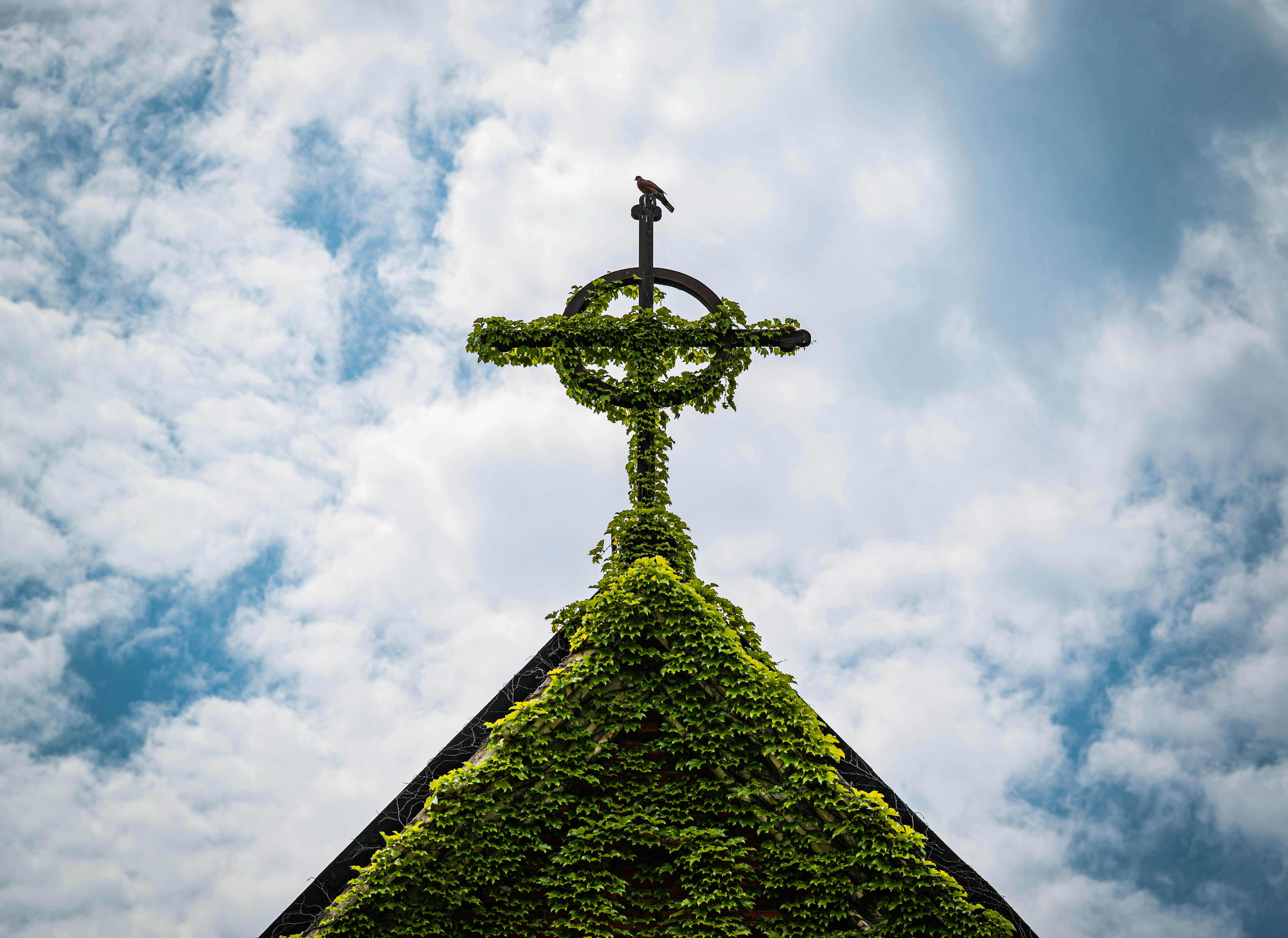 Photo by Declan Sun with Nikon Z8