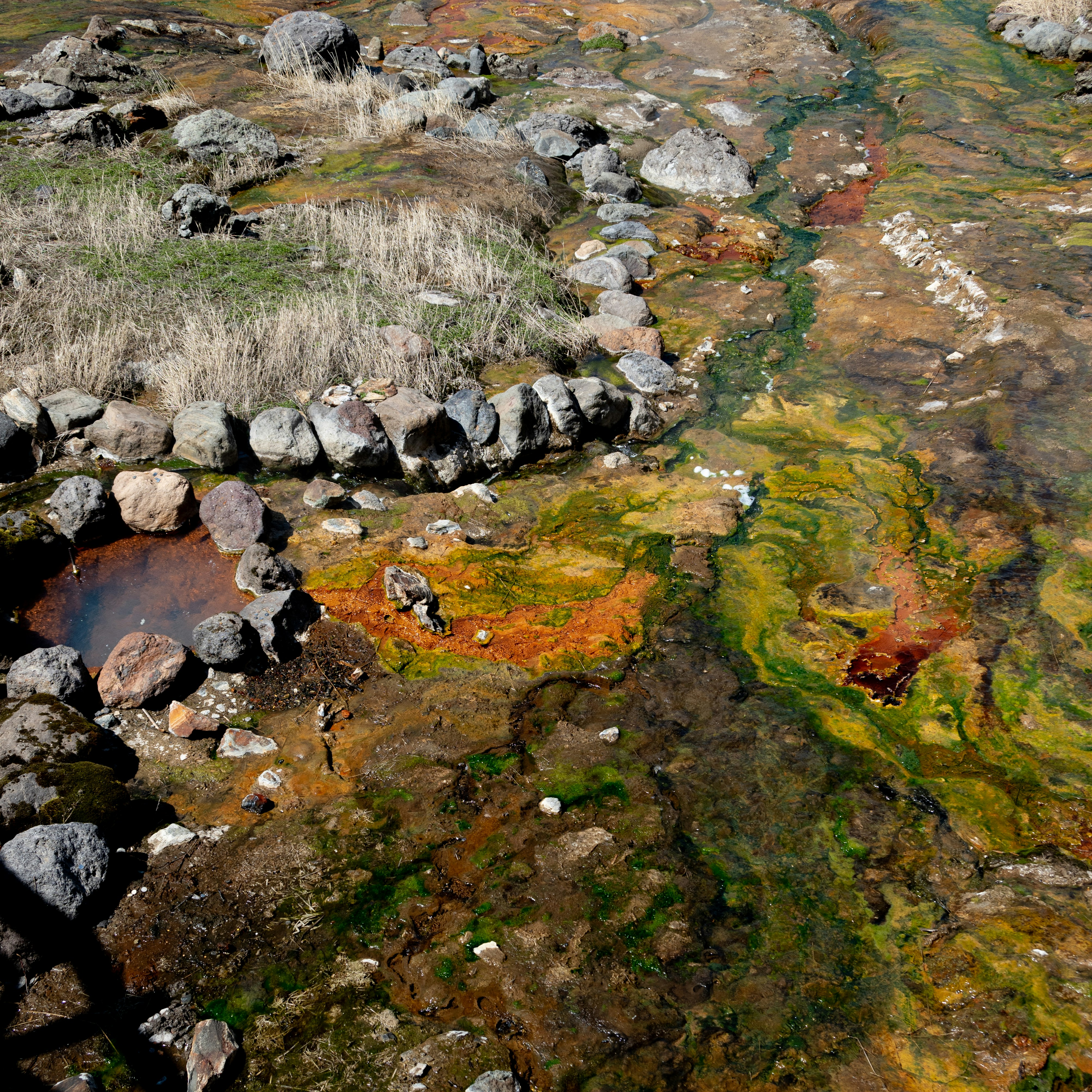 Vibrant Mineral Streams: Terraced Colors Along a Rocky Shore