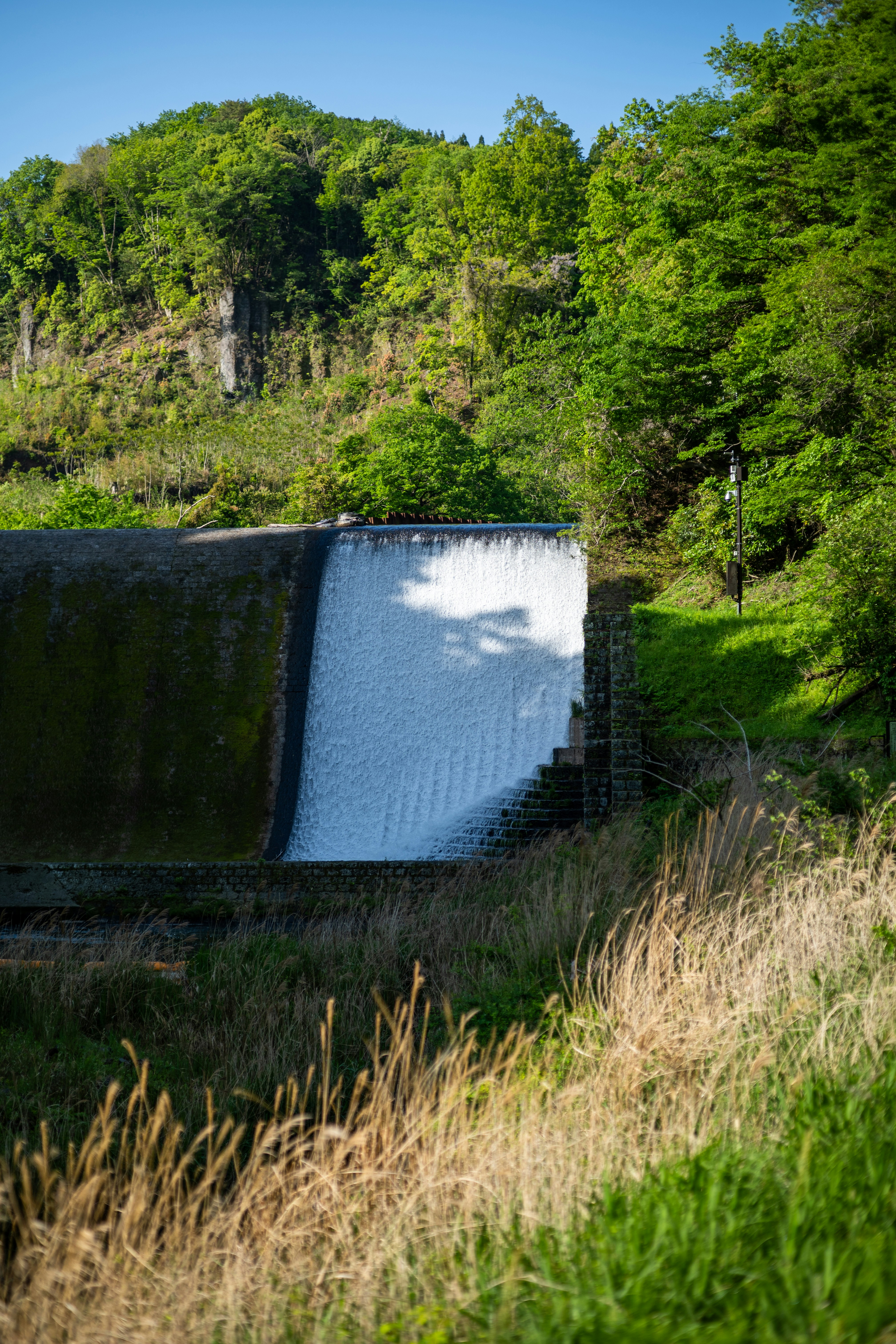 Water cascades over a dam into a verdant landscape. photo – Free Image ...