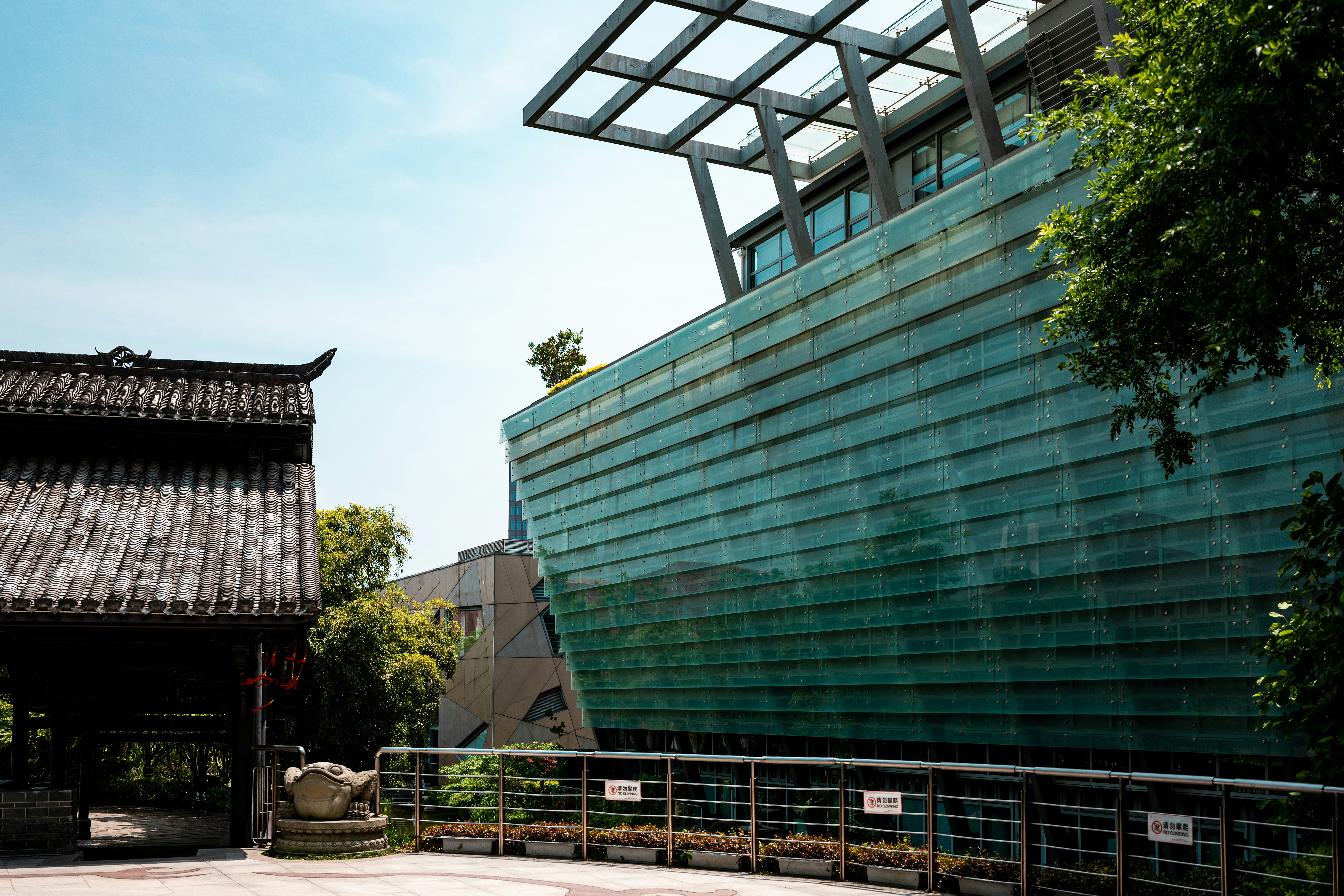 Glass Facade, Timber Gate: A Courtyard of Quiet Contrasts