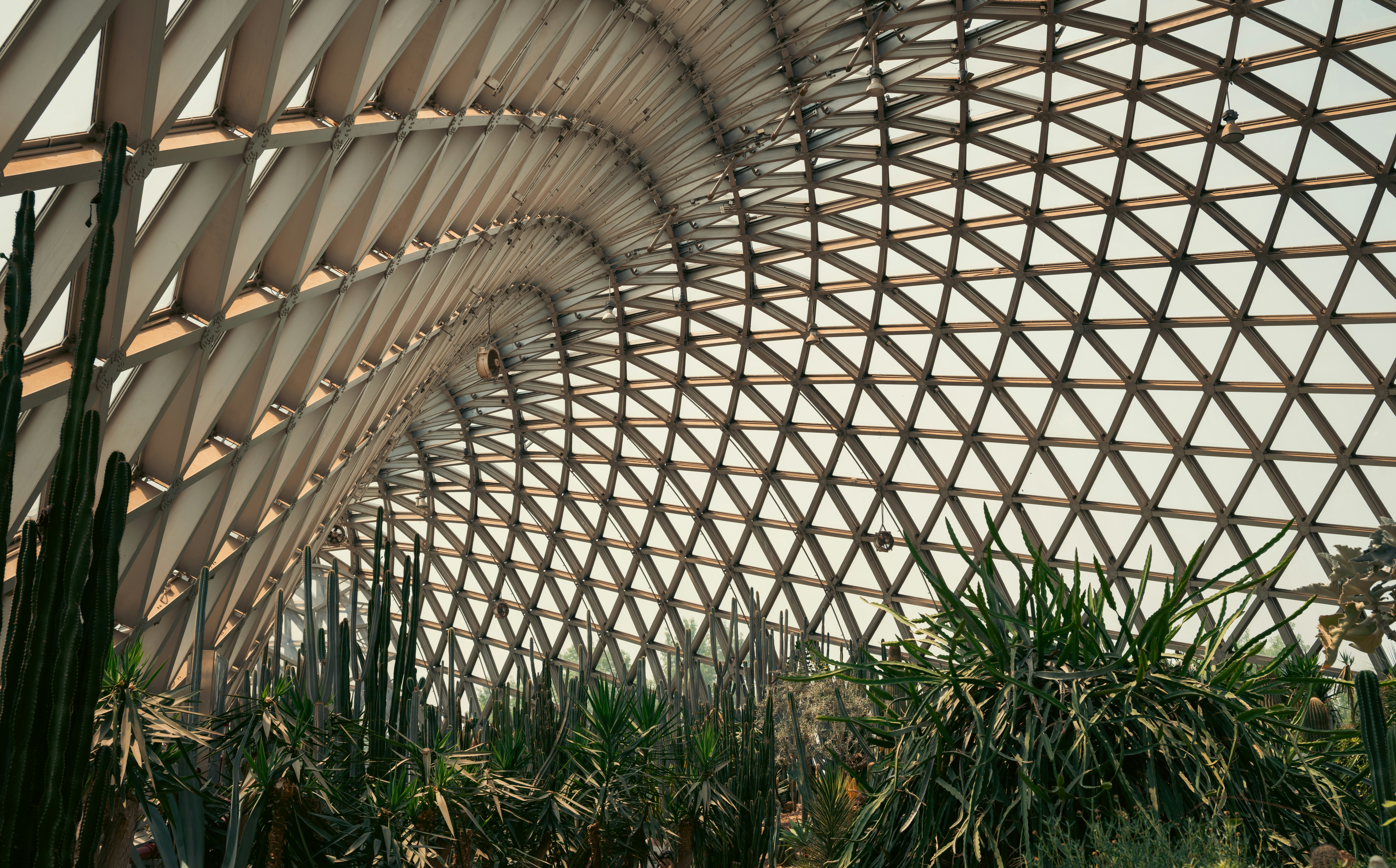 Crosshatched Cathedral of Glass Over a Verdant Conservatory