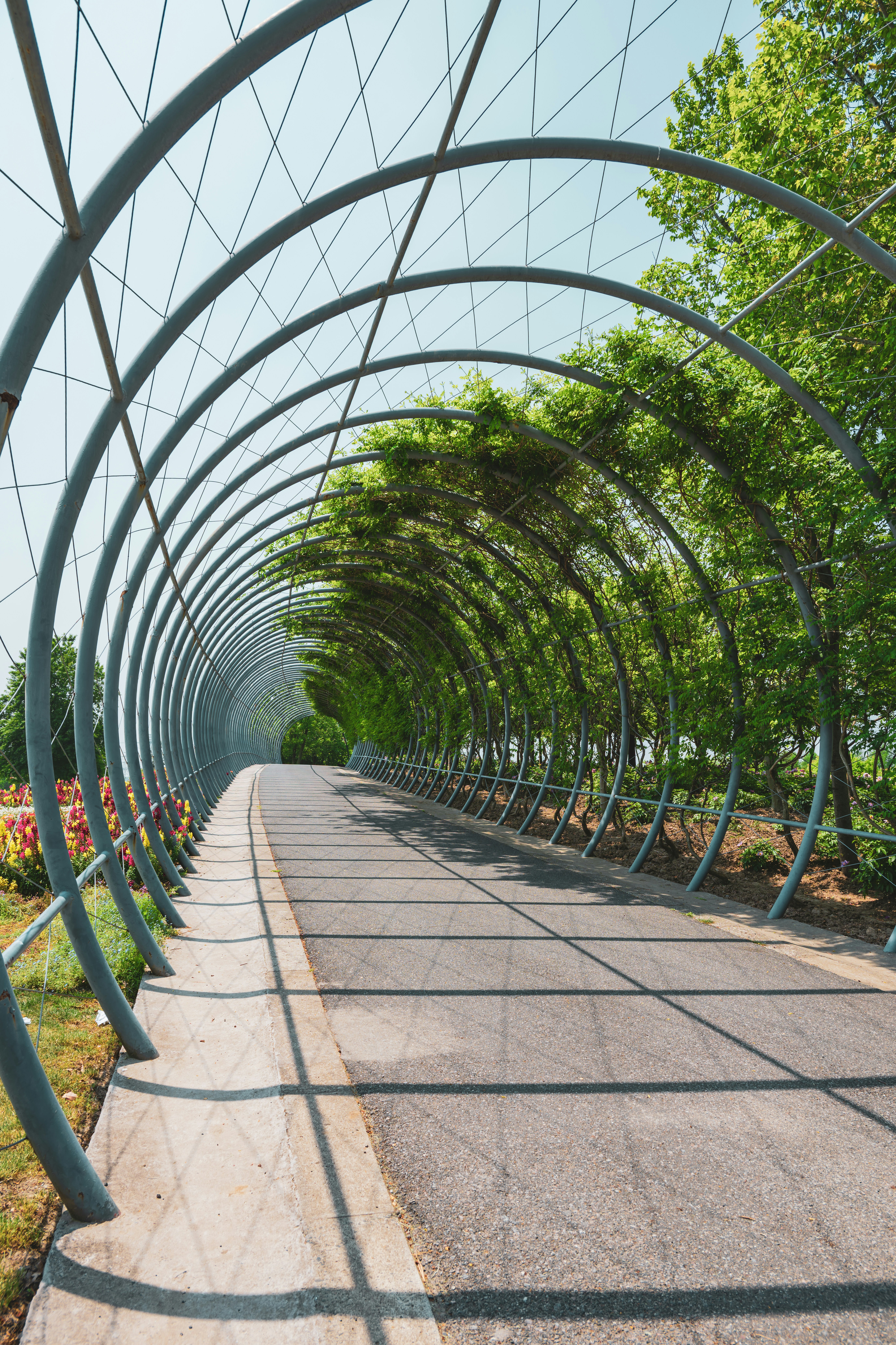 Ringed Path to Light: A Daylight Walk Through an Arching Tunnel