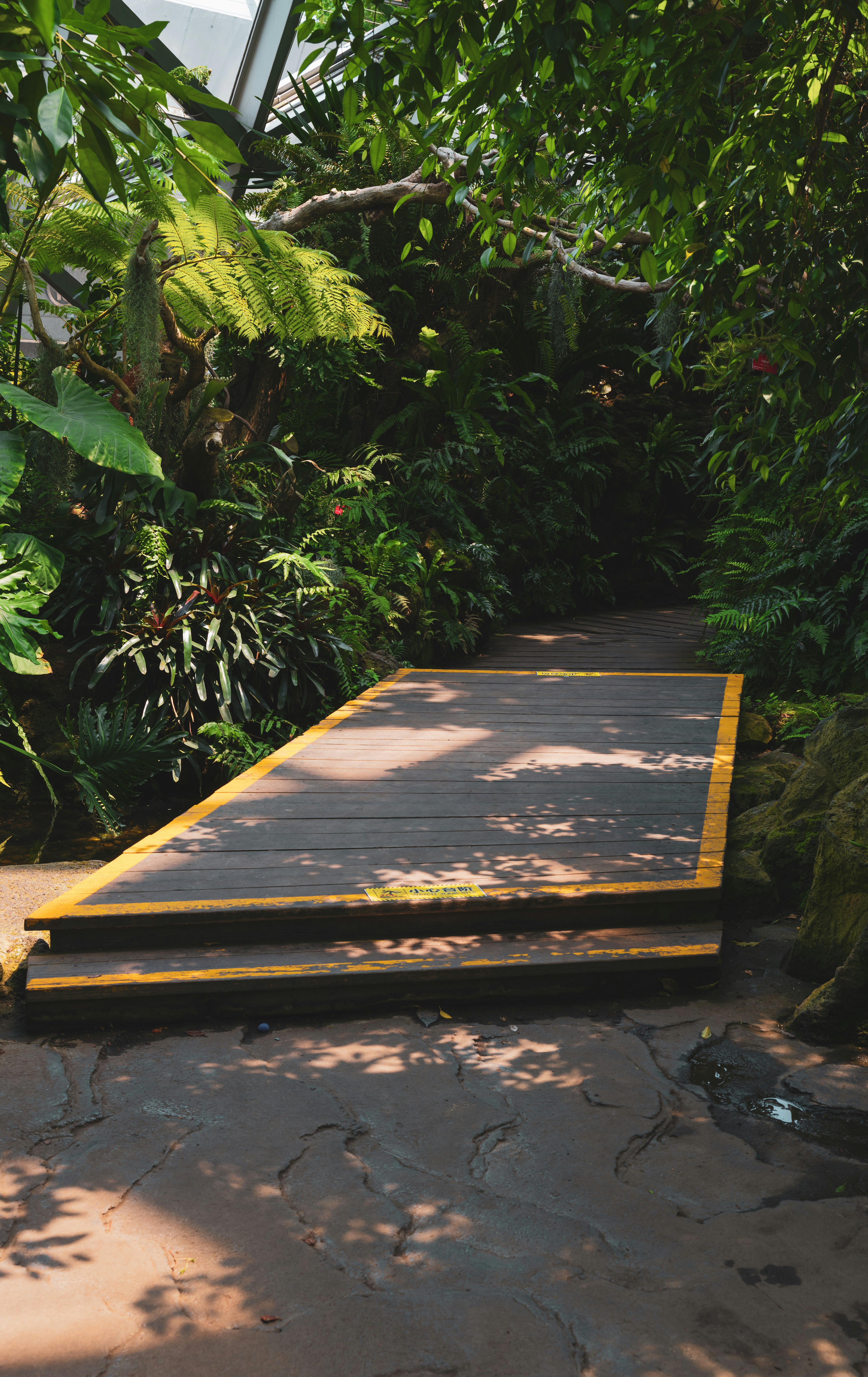 Winding Path Through a Living Canopy