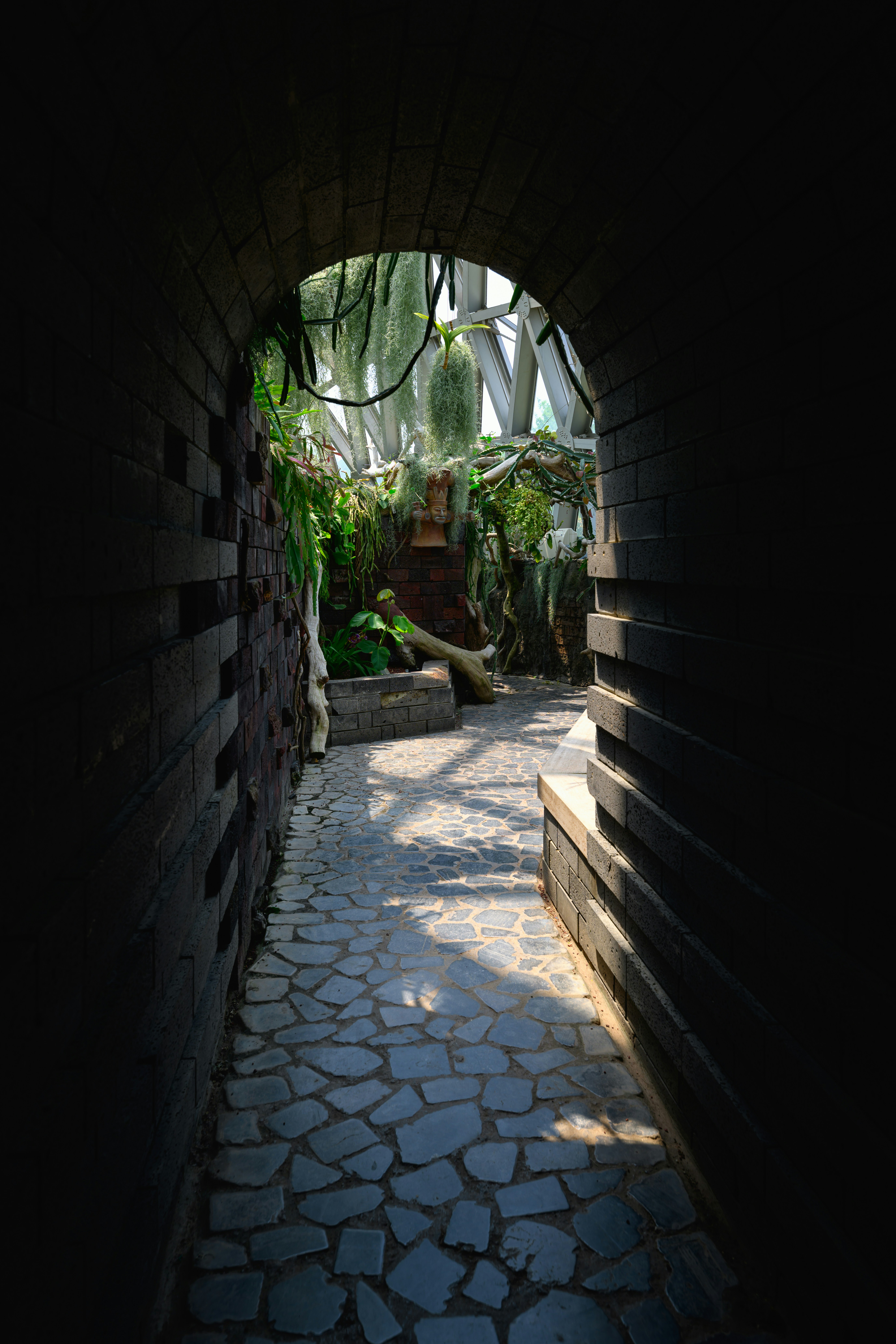 Light at the Arch: A Quiet Garden Emerges from Shadow