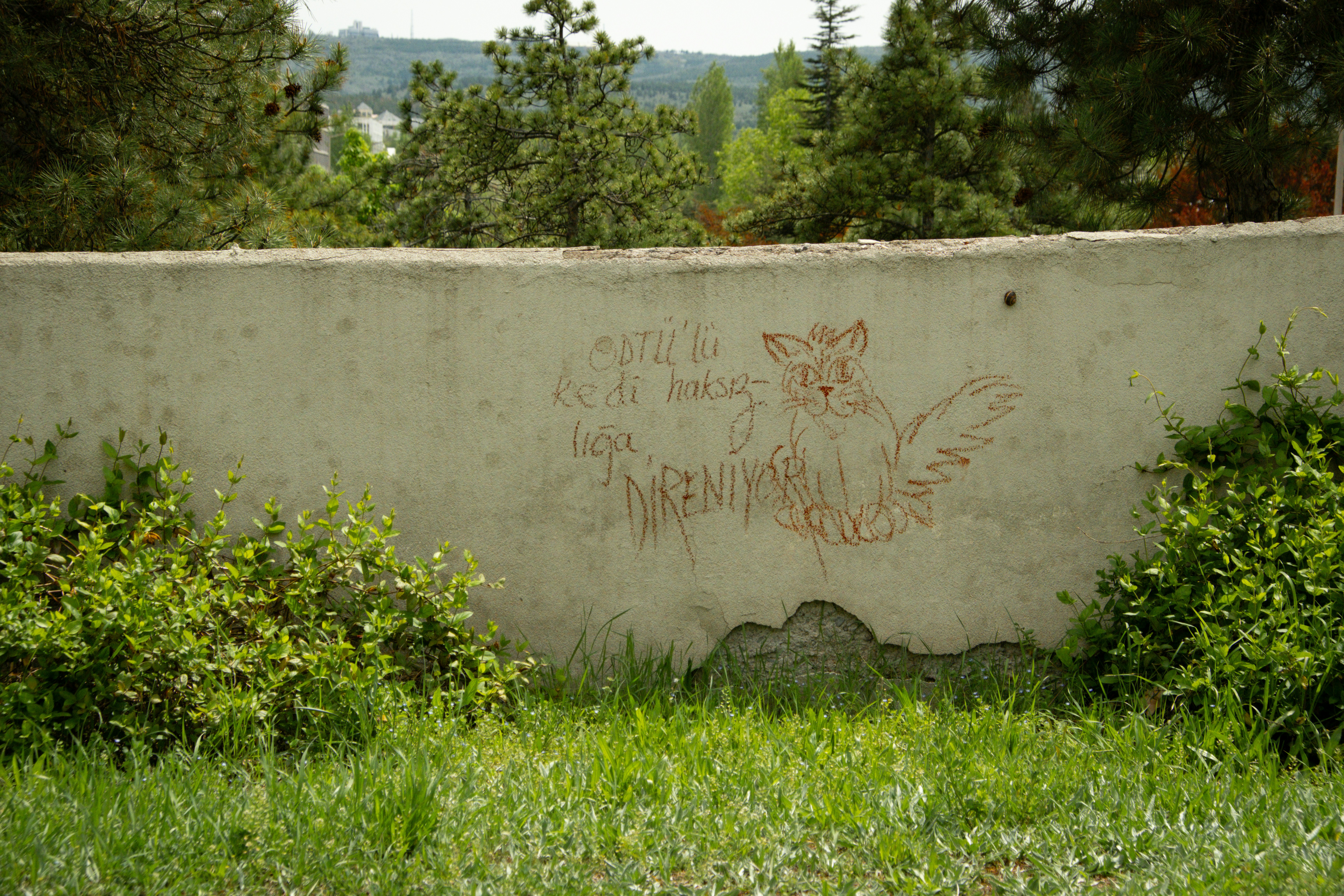 A fox mural is painted on a concrete wall. photo – Free Cat Image on ...