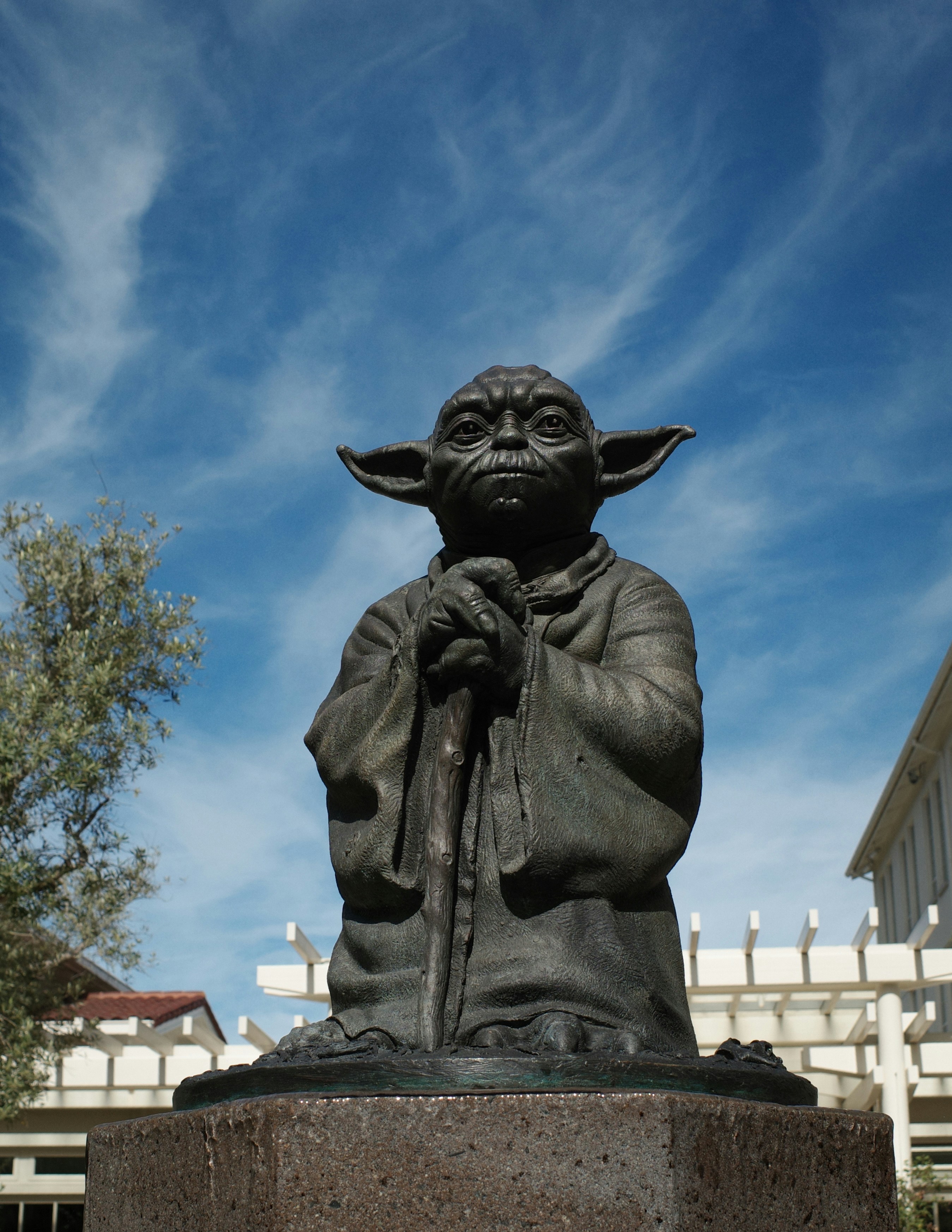Wisdom in Bronze: The Legacy of a Jedi Master