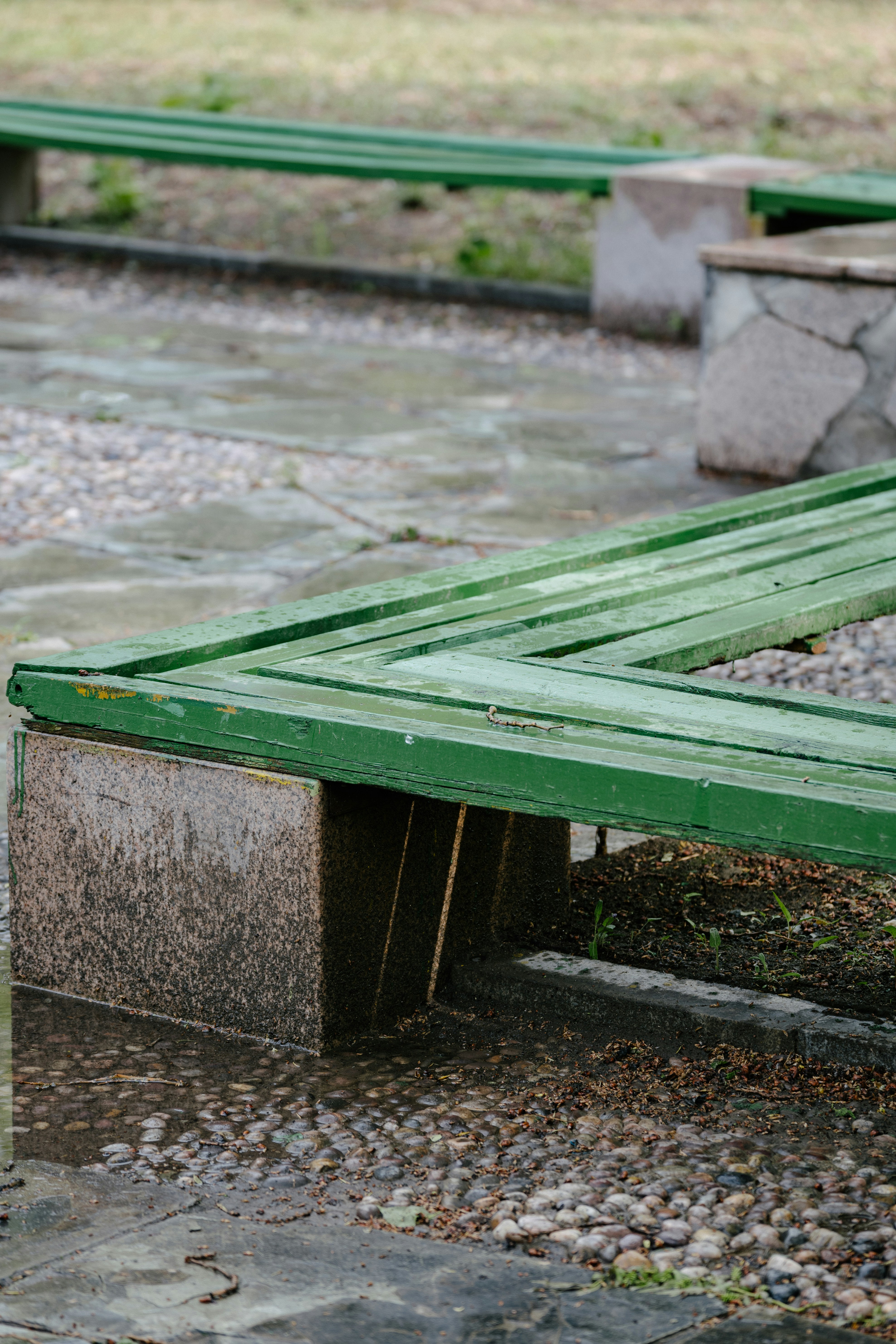 Emerald Planks Across a Rain-Kissed Park