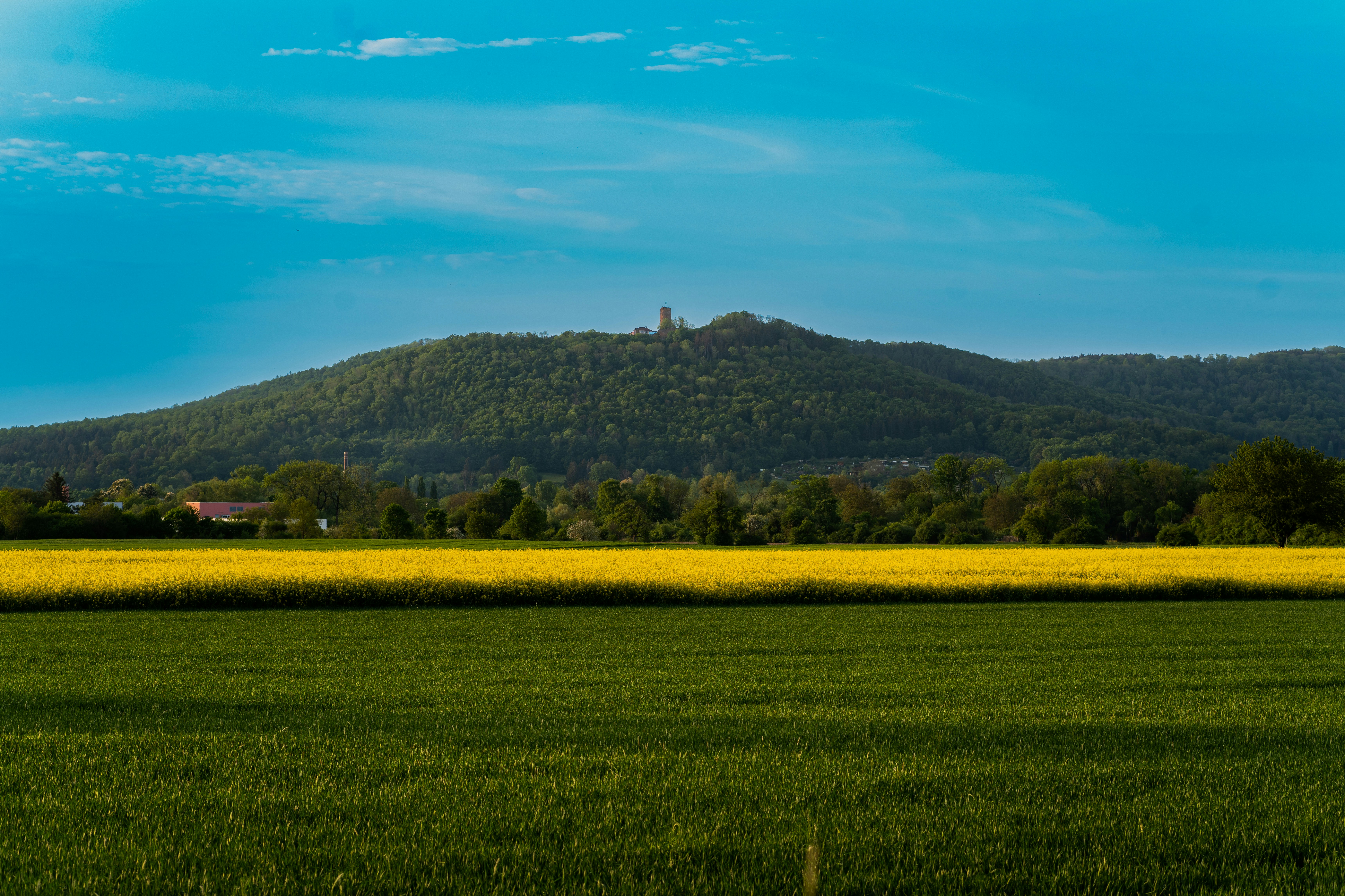 Hilltop Watchtower Over a Sea of Green and Gold