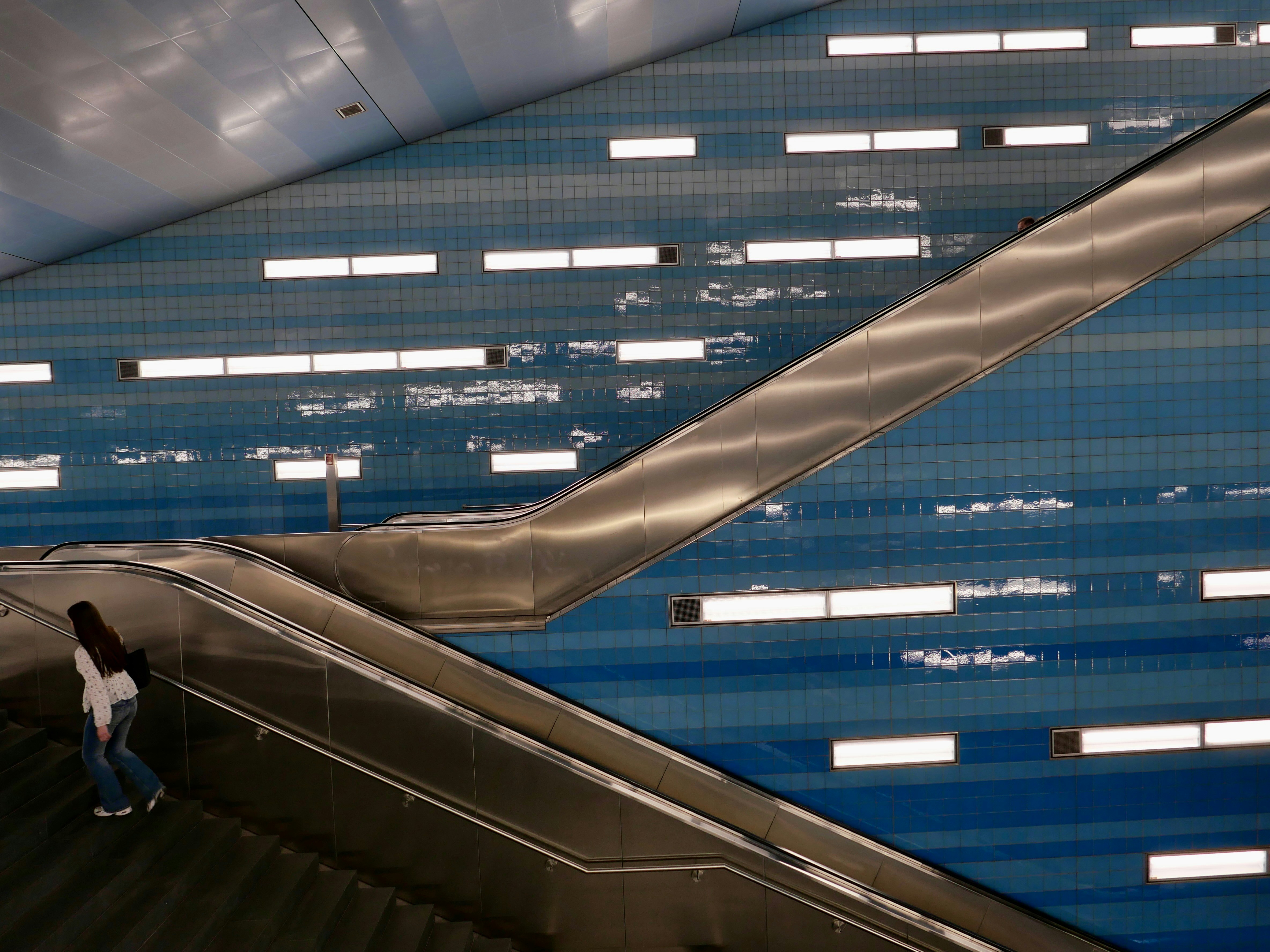 Sleek Ascent: The Harmony of Lines and Light