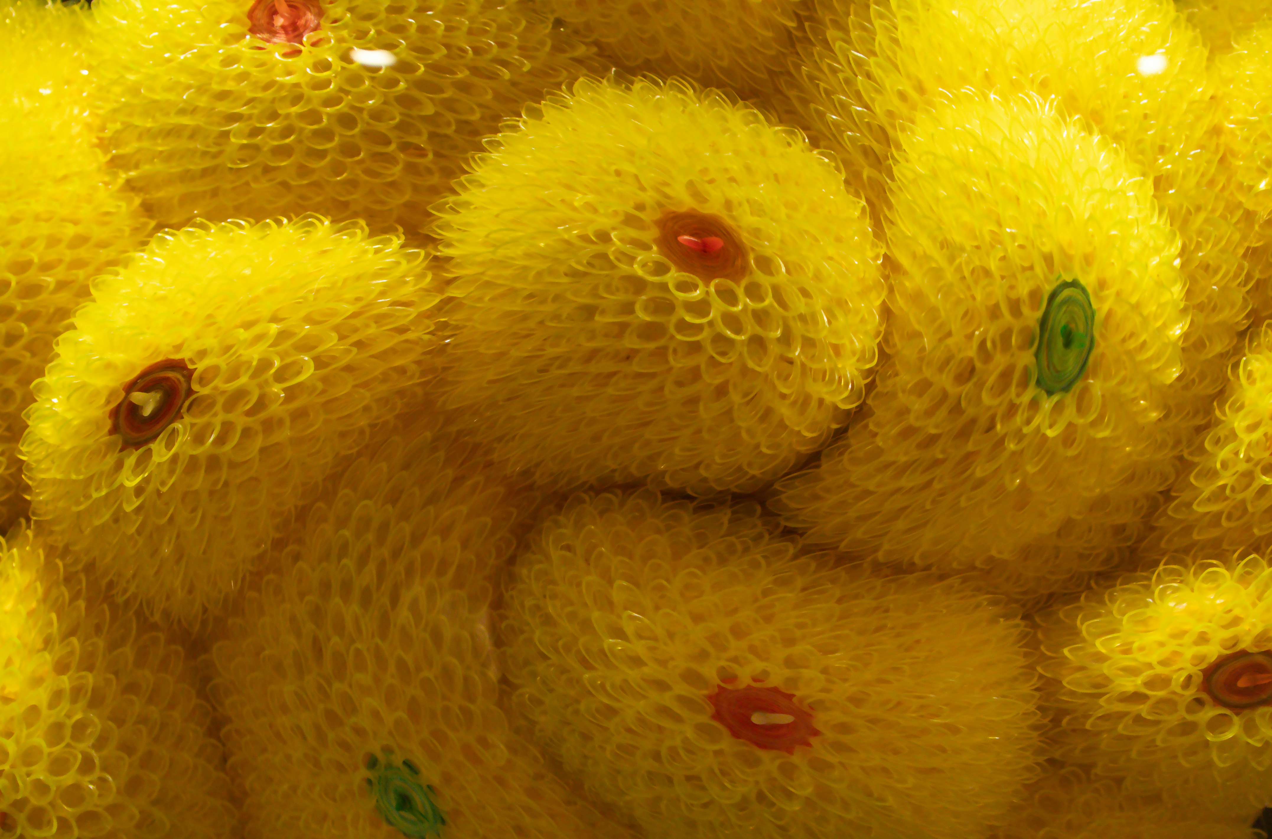 Golden Honeycomb: Nature's Intricate Design
