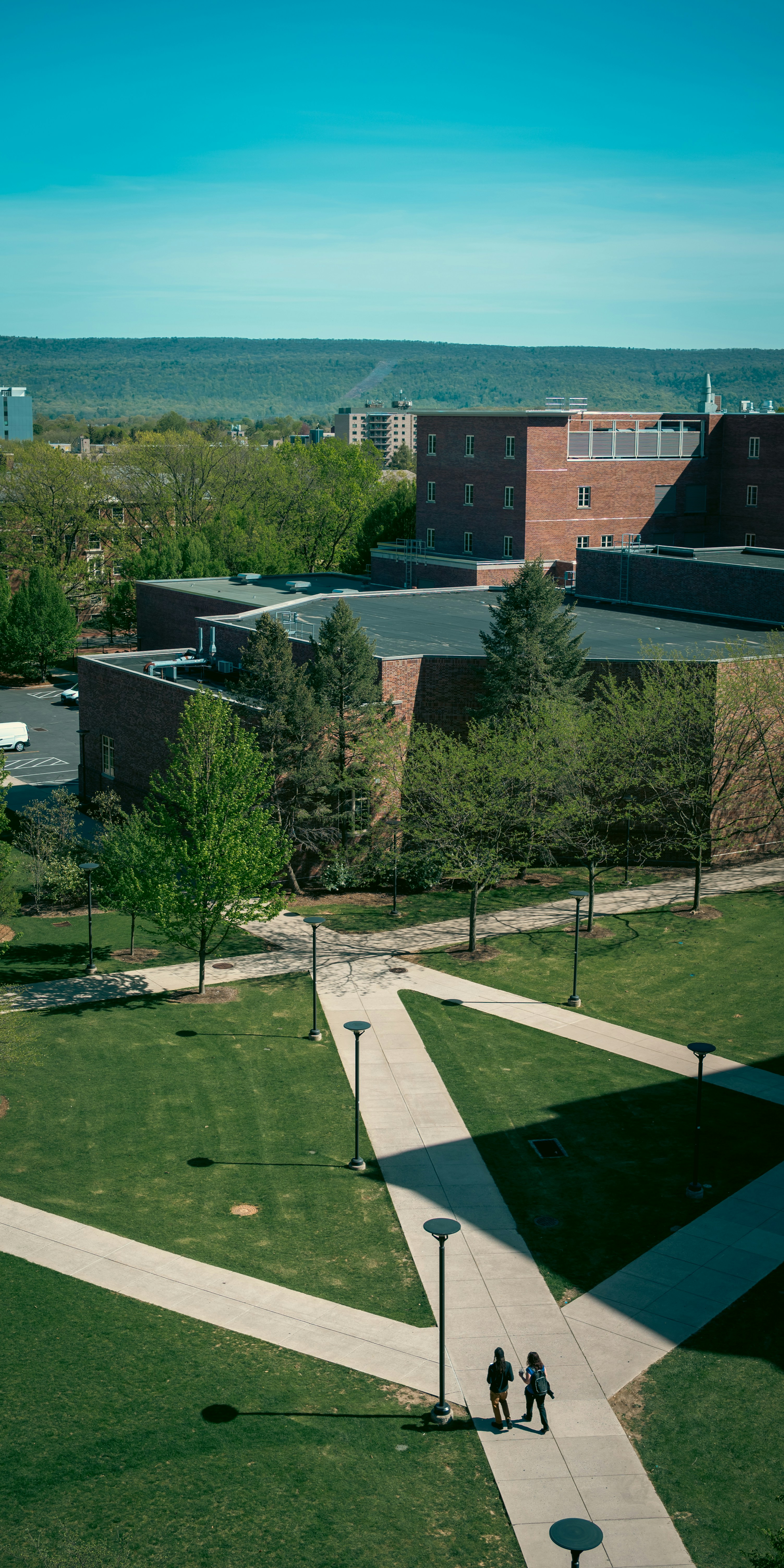 Shadows & Pathways: A Quiet Campus Afternoon