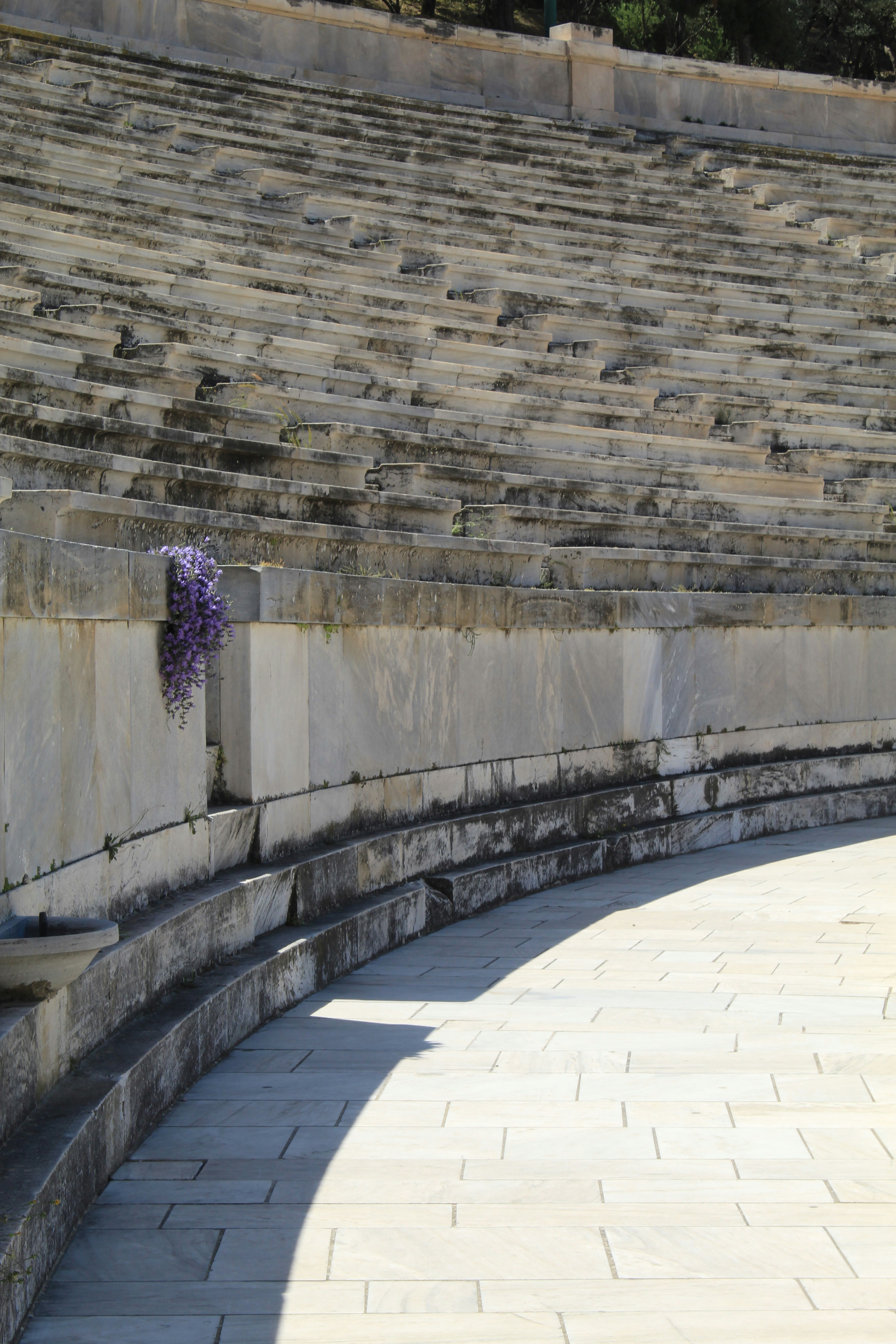 Purple Wisteria Drapes Over Timeworn Amphitheater Steps