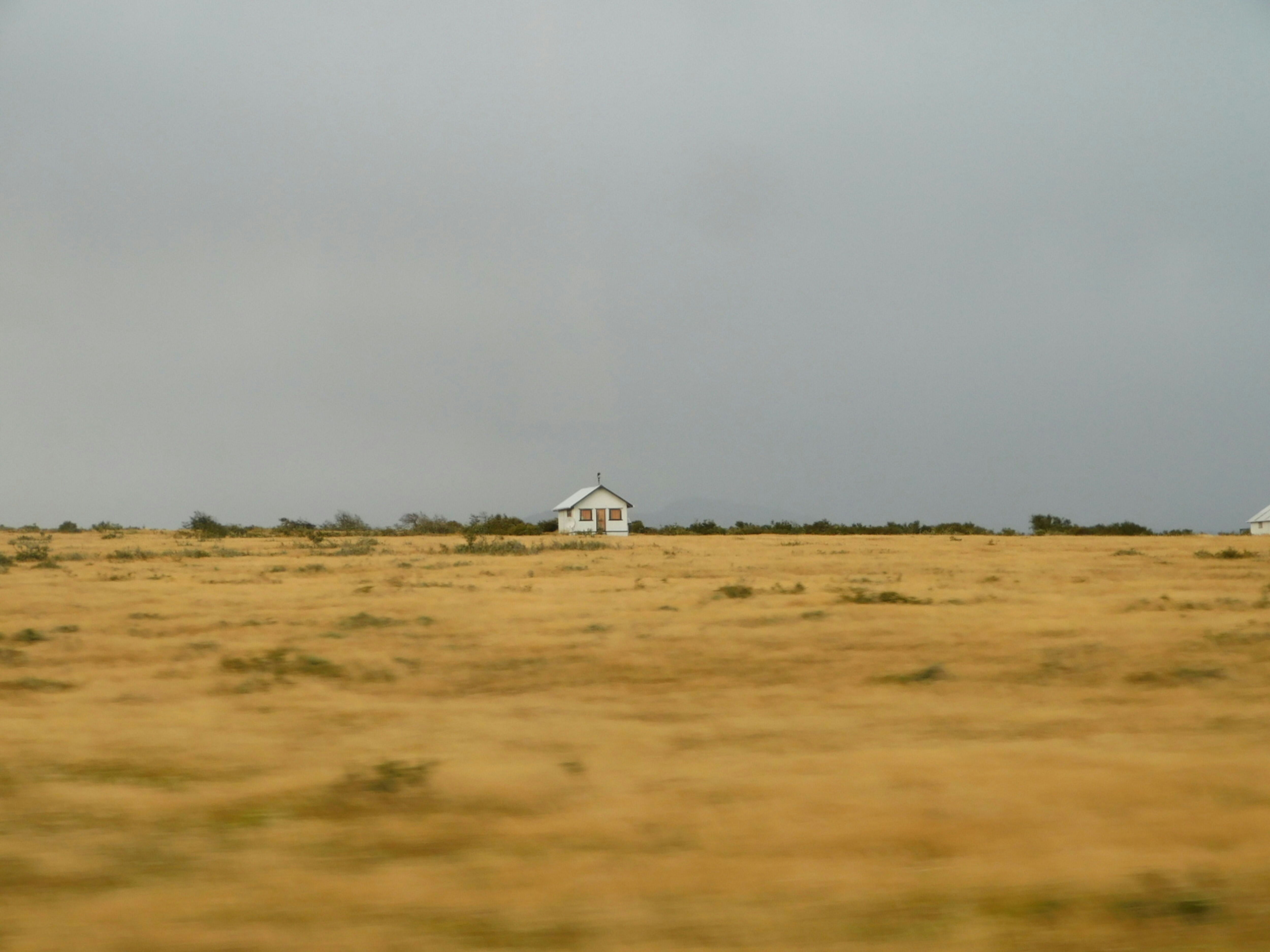 Lone White House on the Golden Plain Under a Somber Sky