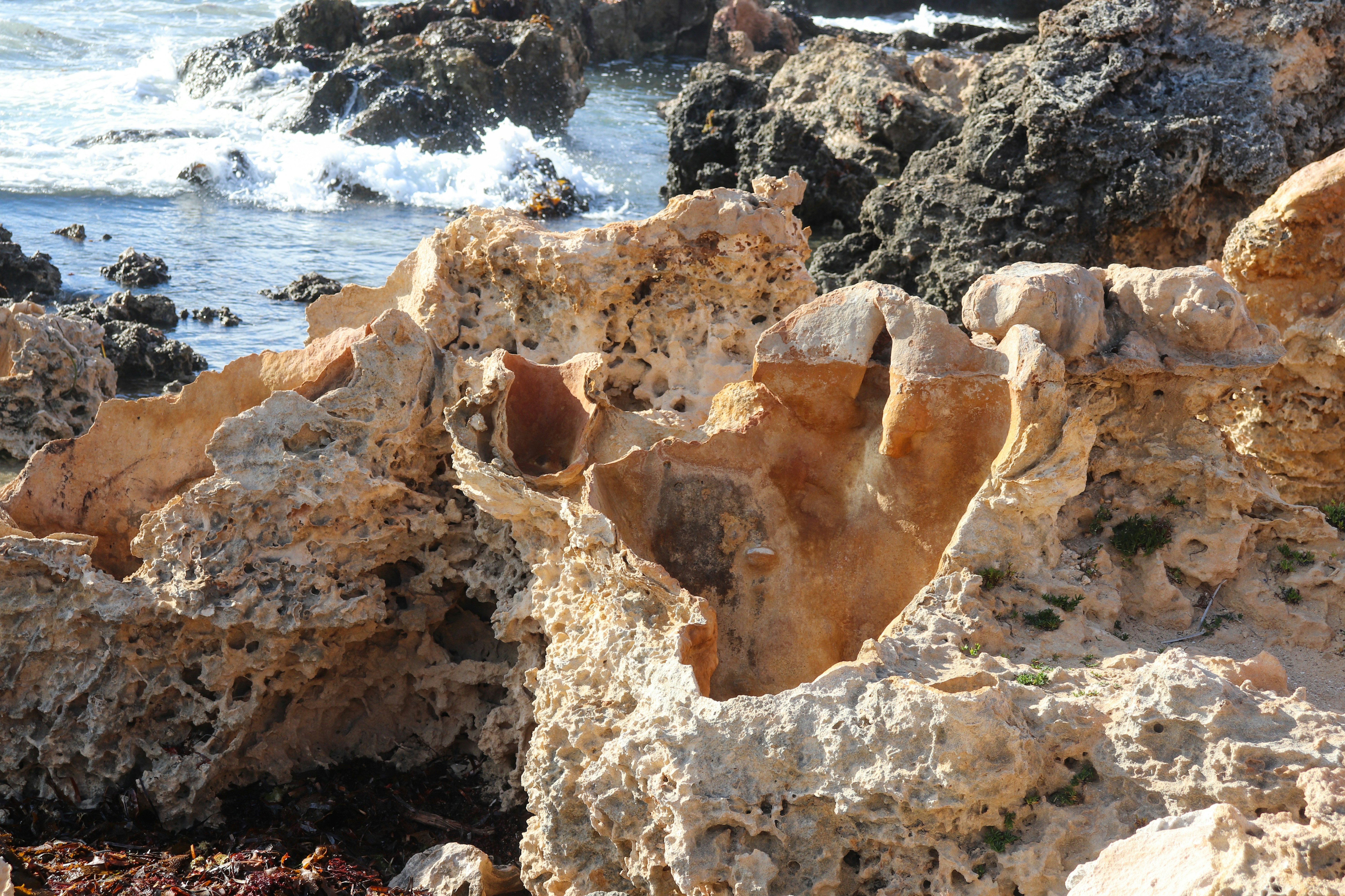 Whispers of the Shoreline: A Rocky Embrace