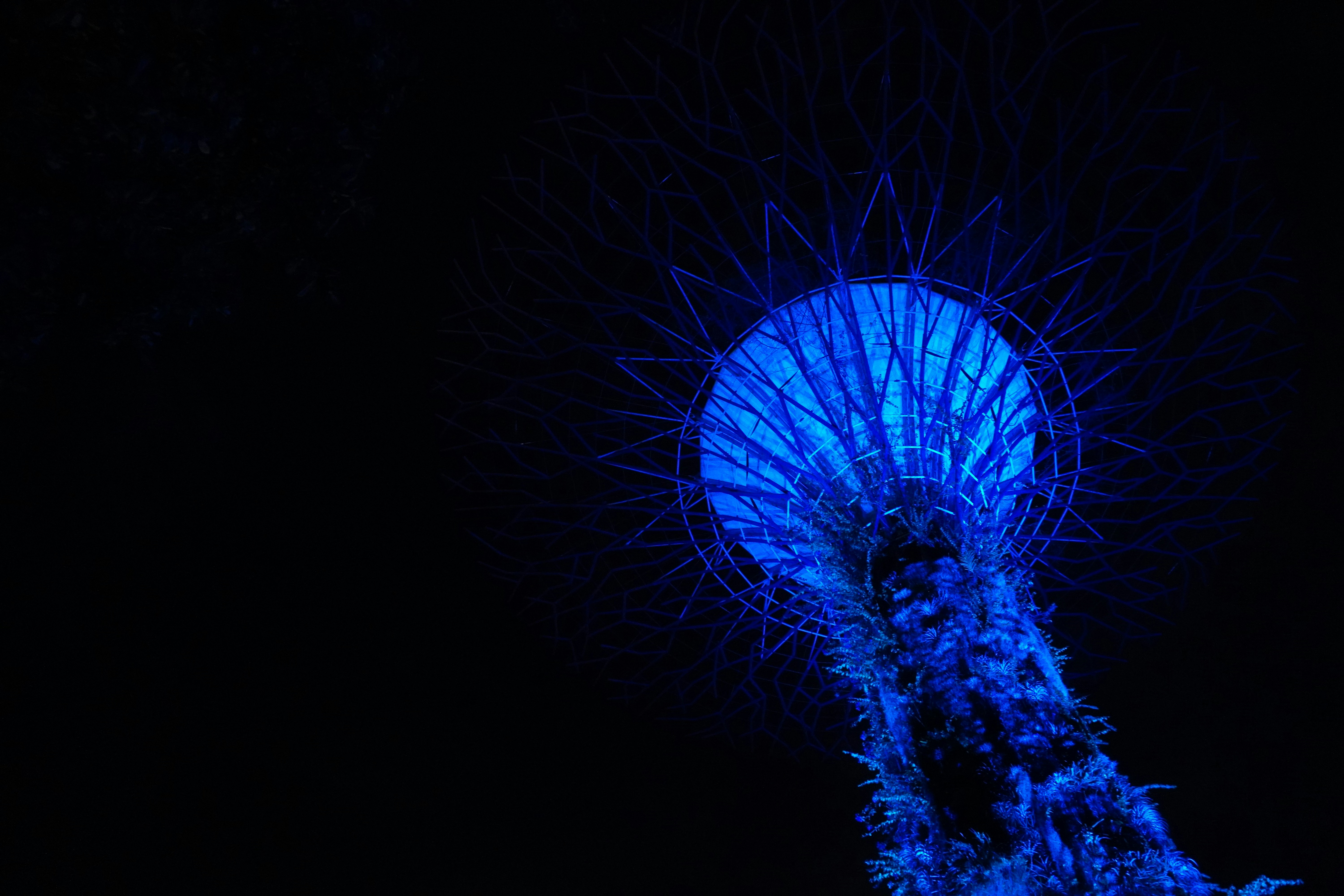 Midnight Neon Bloom: A Blue Dandelion Lamp Reaching for the Night