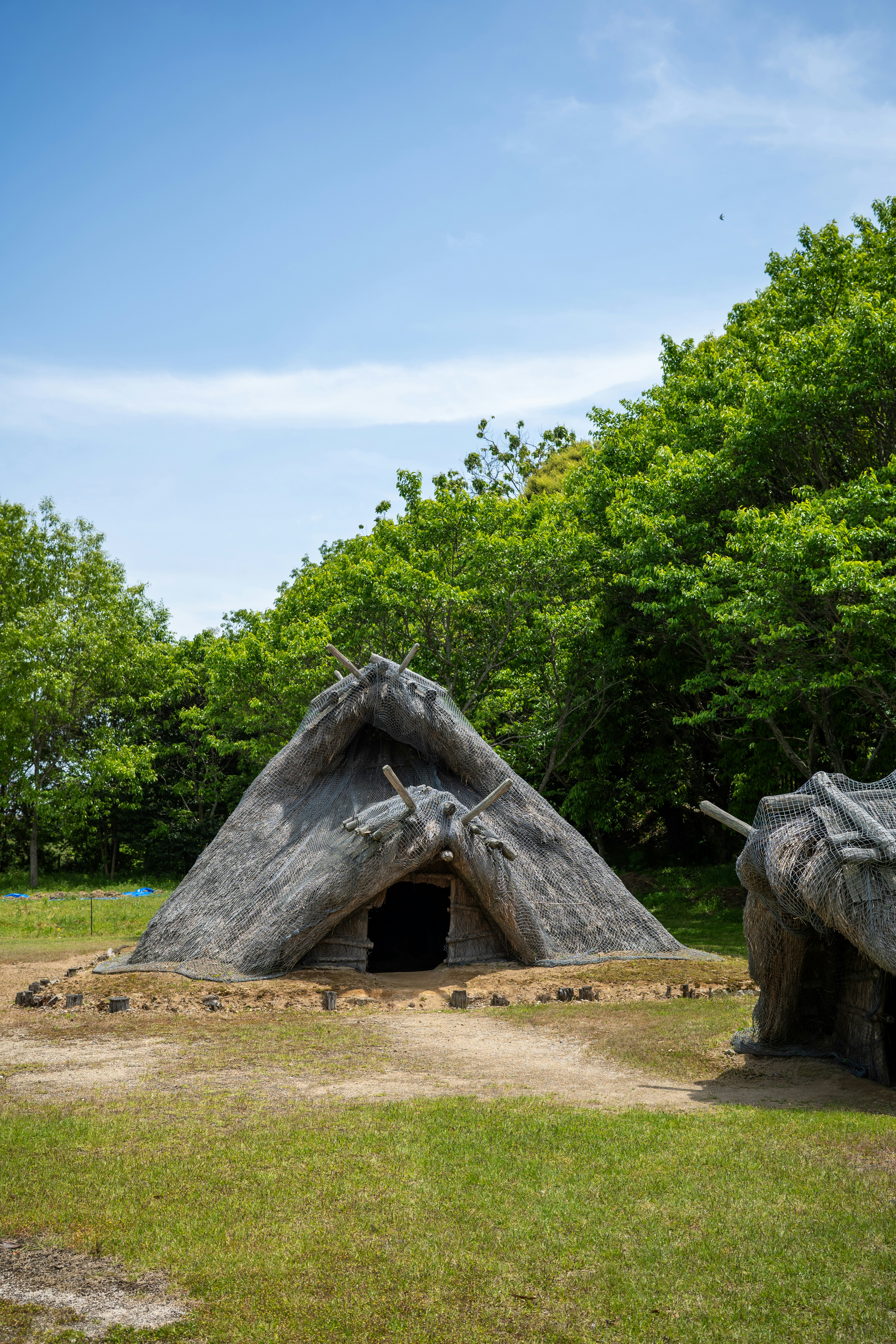 Ancient Tipis Loom Over a Sunlit Clearing