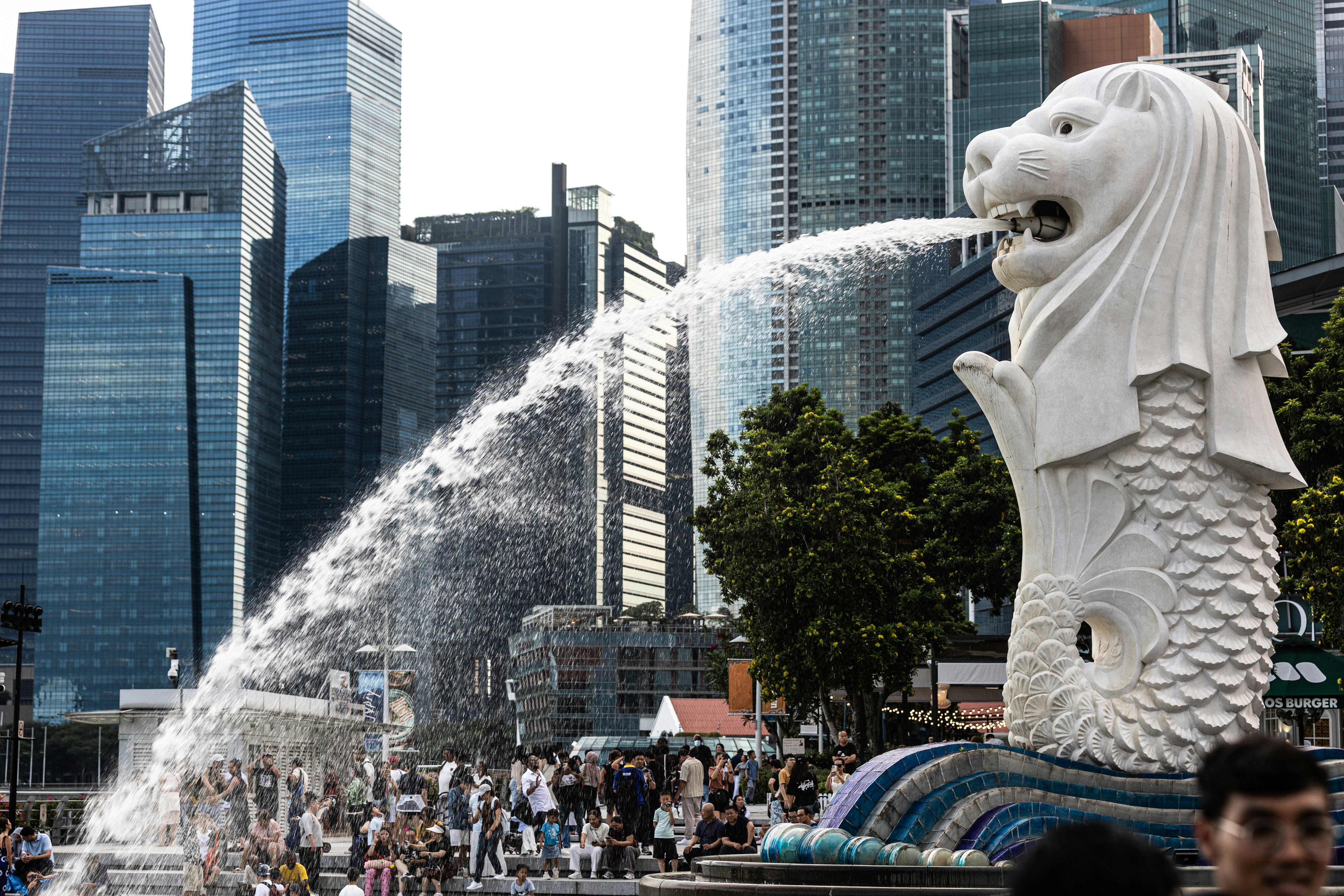 The merlion of singapore spouts water. photo – Free Lion Image on Unsplash