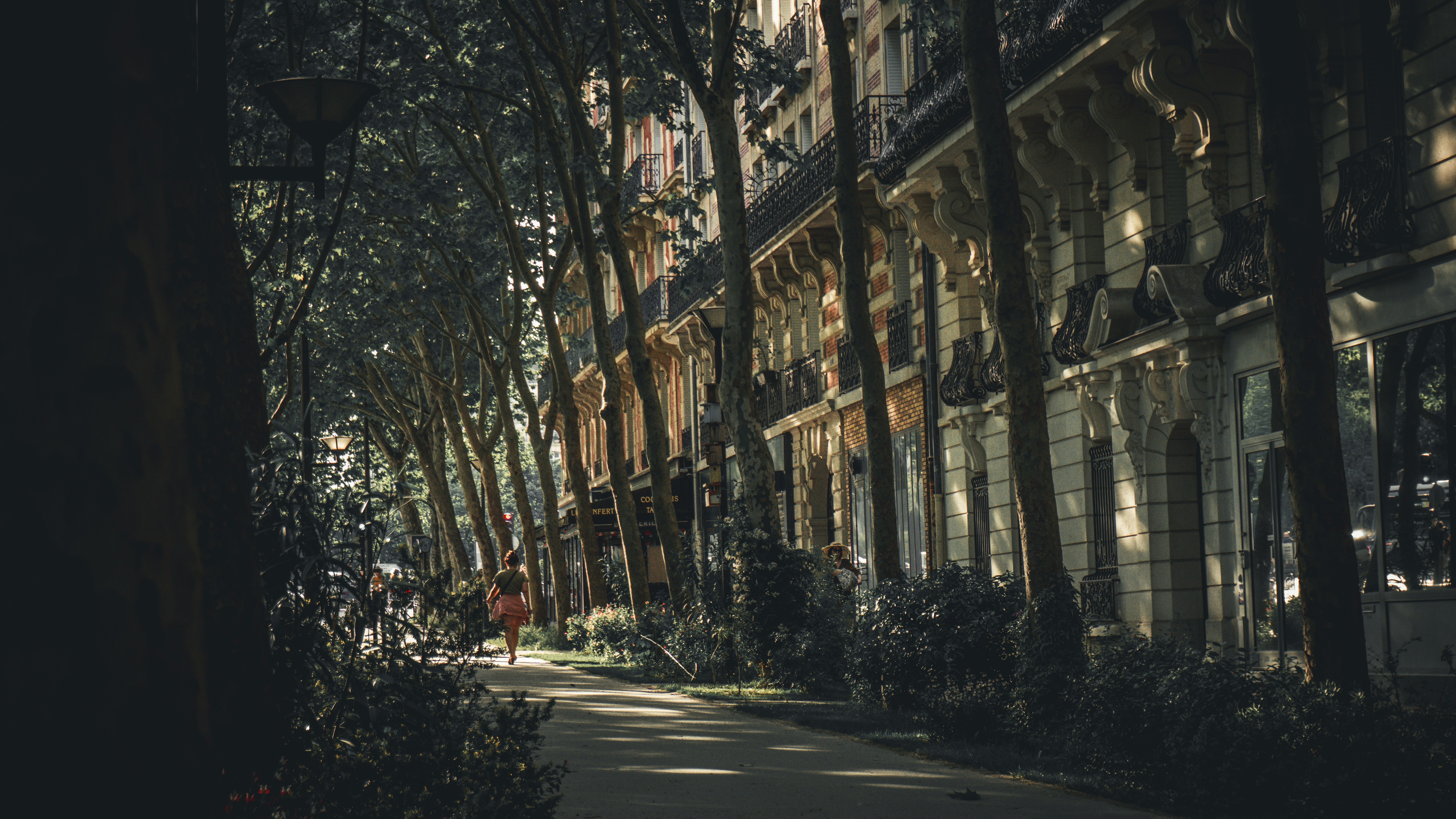 Red-Clad Figure in a Sun-Dappled City Avenue
