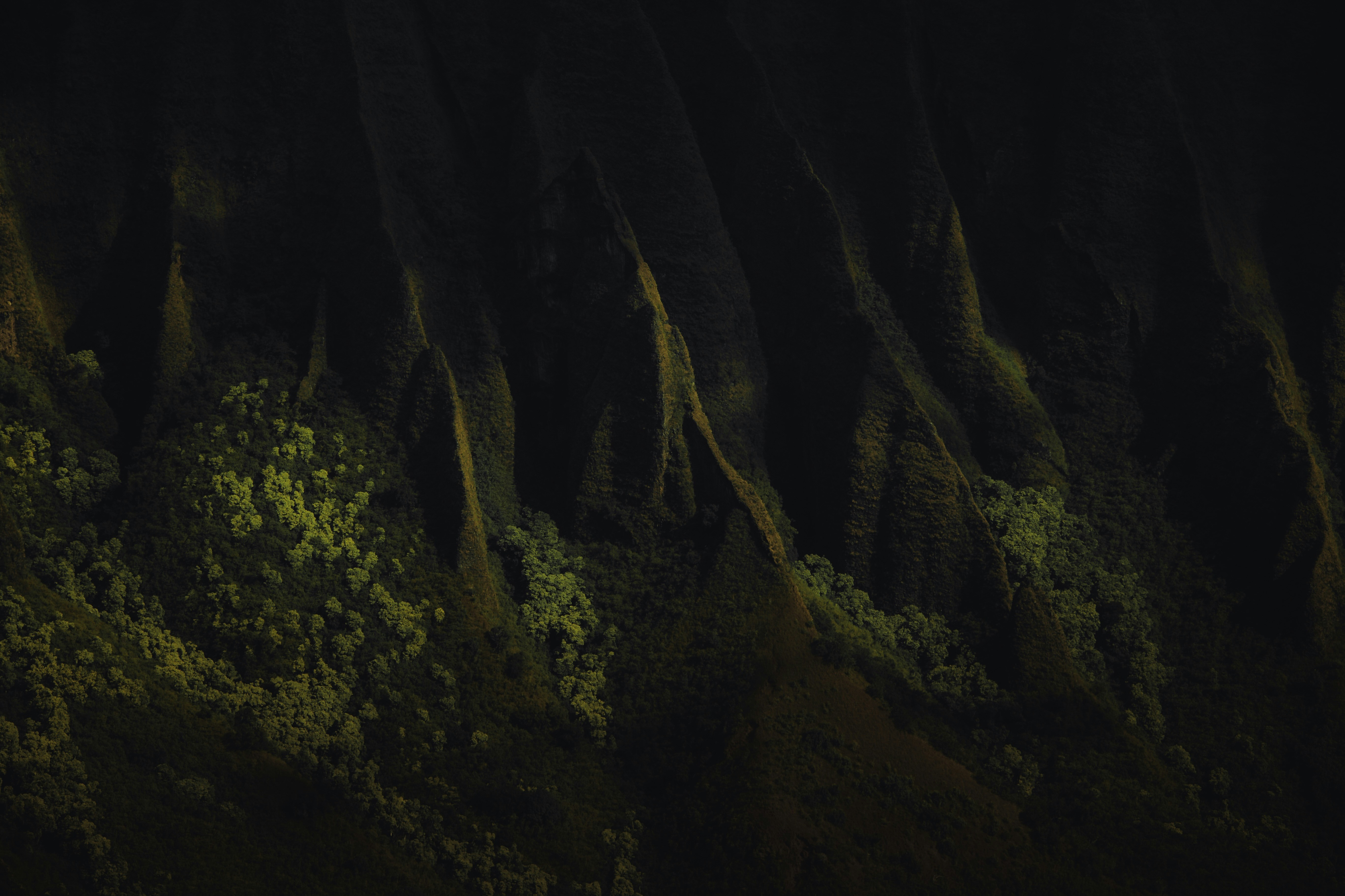 Photo by Matthew Stephenson with Canon EOS 70D