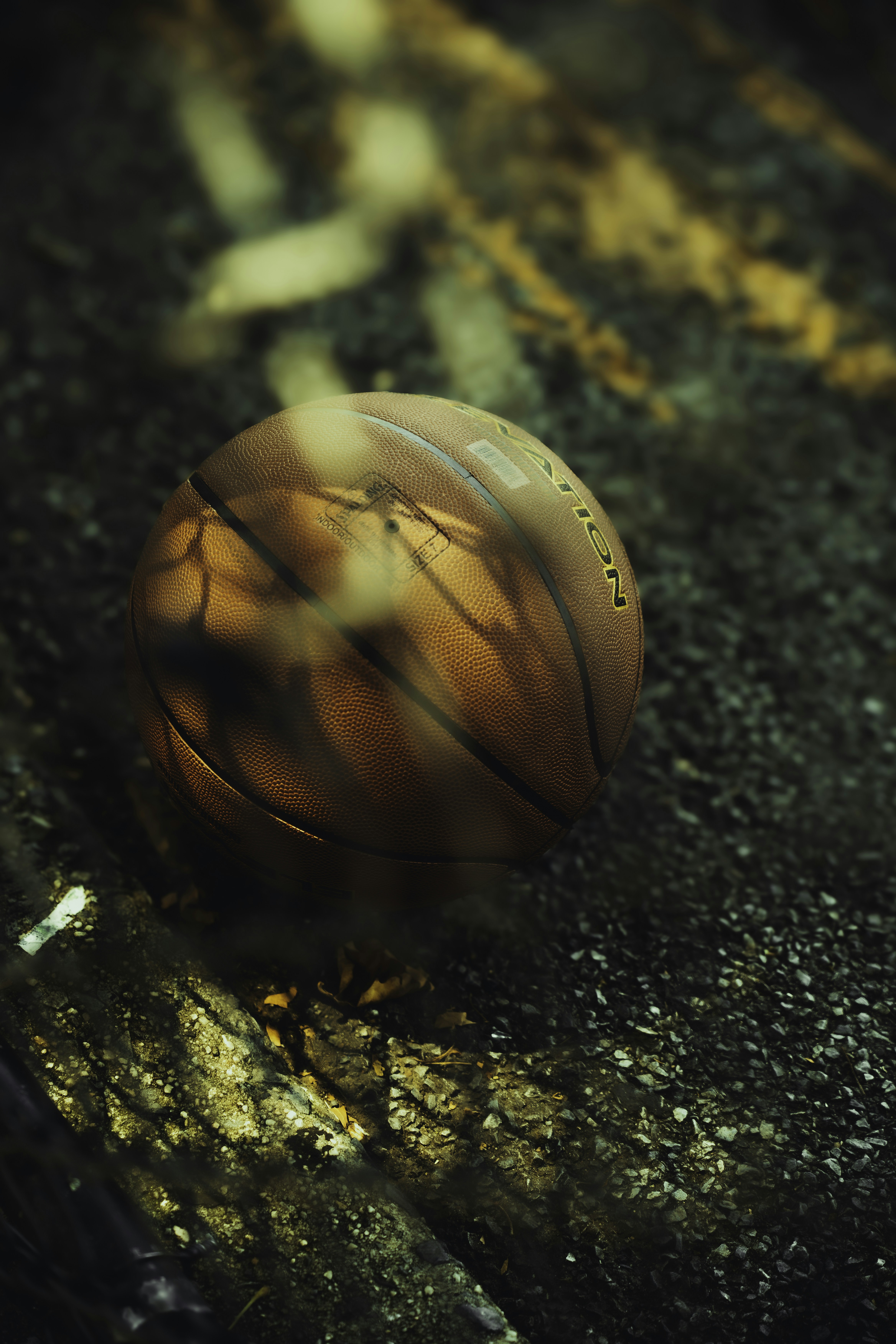A lone basketball rests on a cracked asphalt surface, partially obscured by shadows and foliage. The scene conveys a sense of abandonment and stillness.