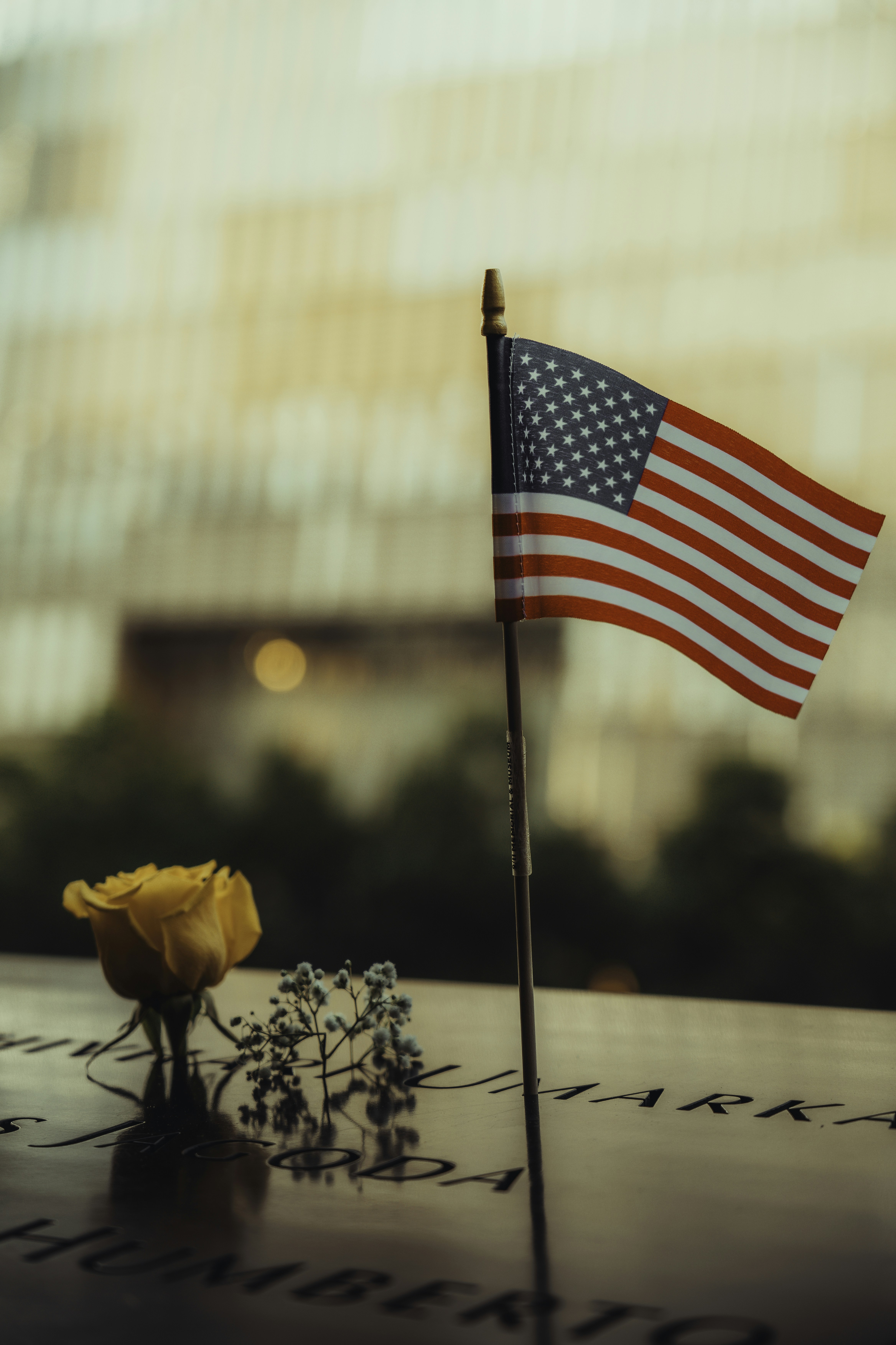 Flag Above the Polished Memorial: A Yellow Rose Framed by Quiet City Light