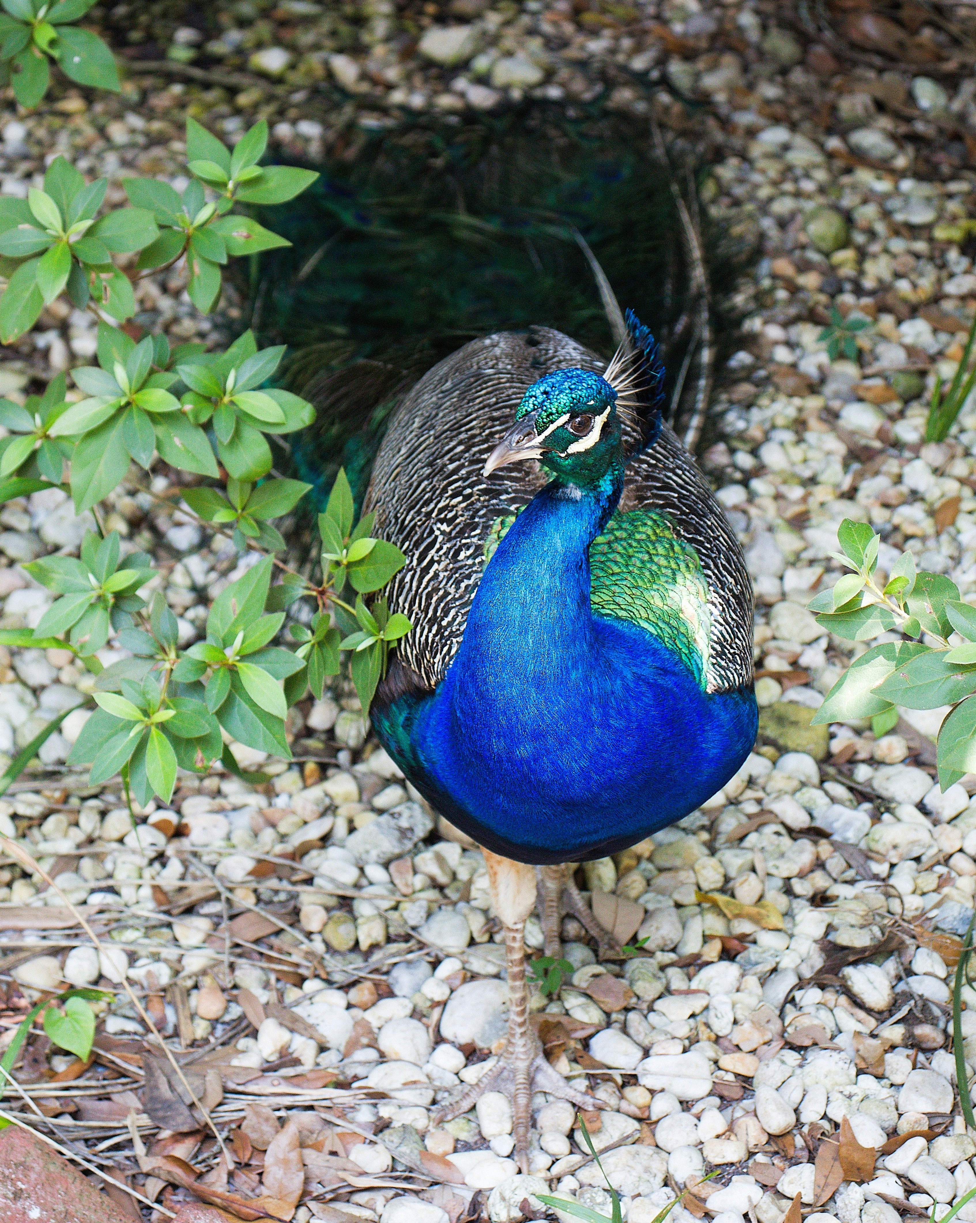 St Augustine photo shot on Canon EOS 1300D