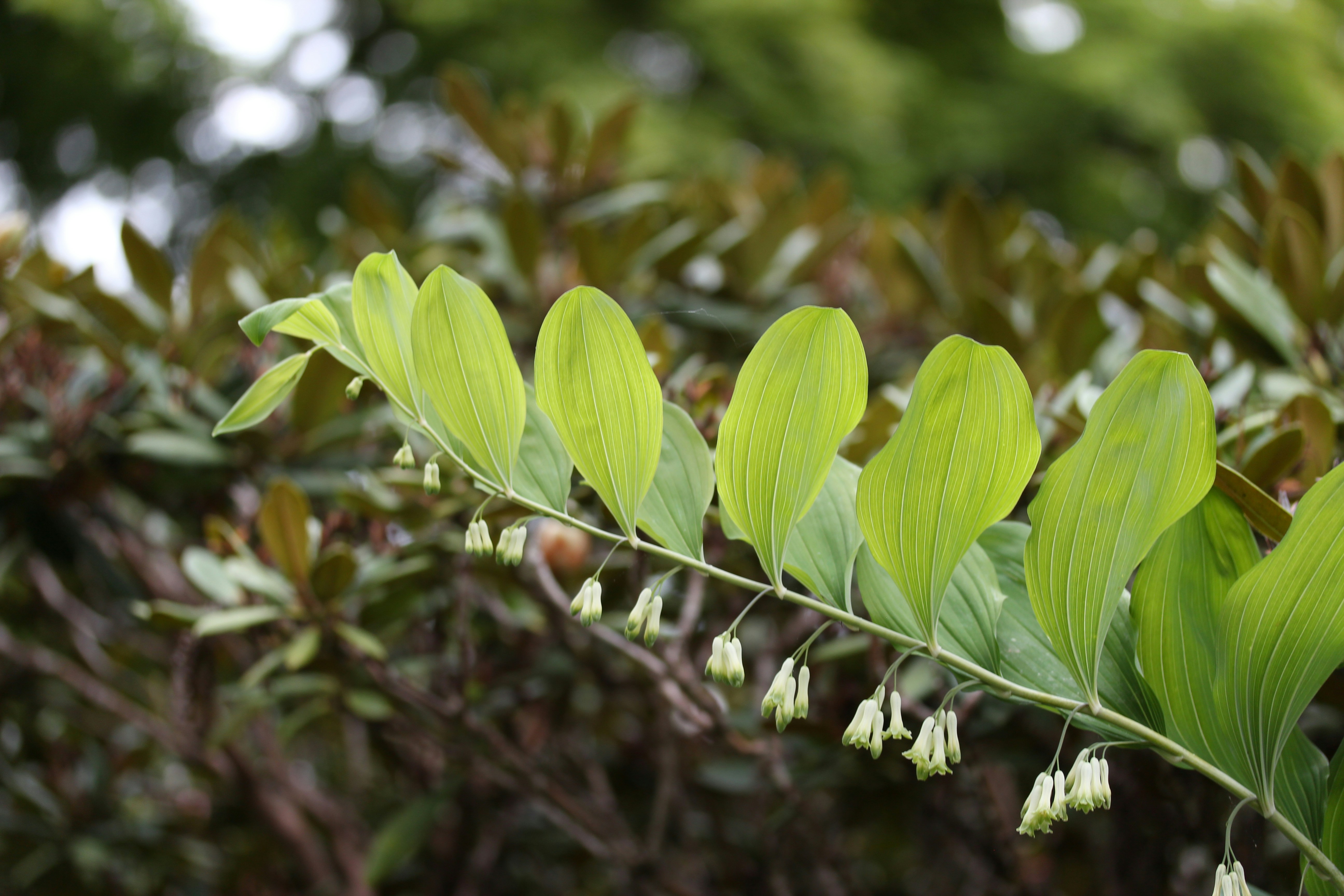 Photo by Nick Augustat with Canon EOS 600D