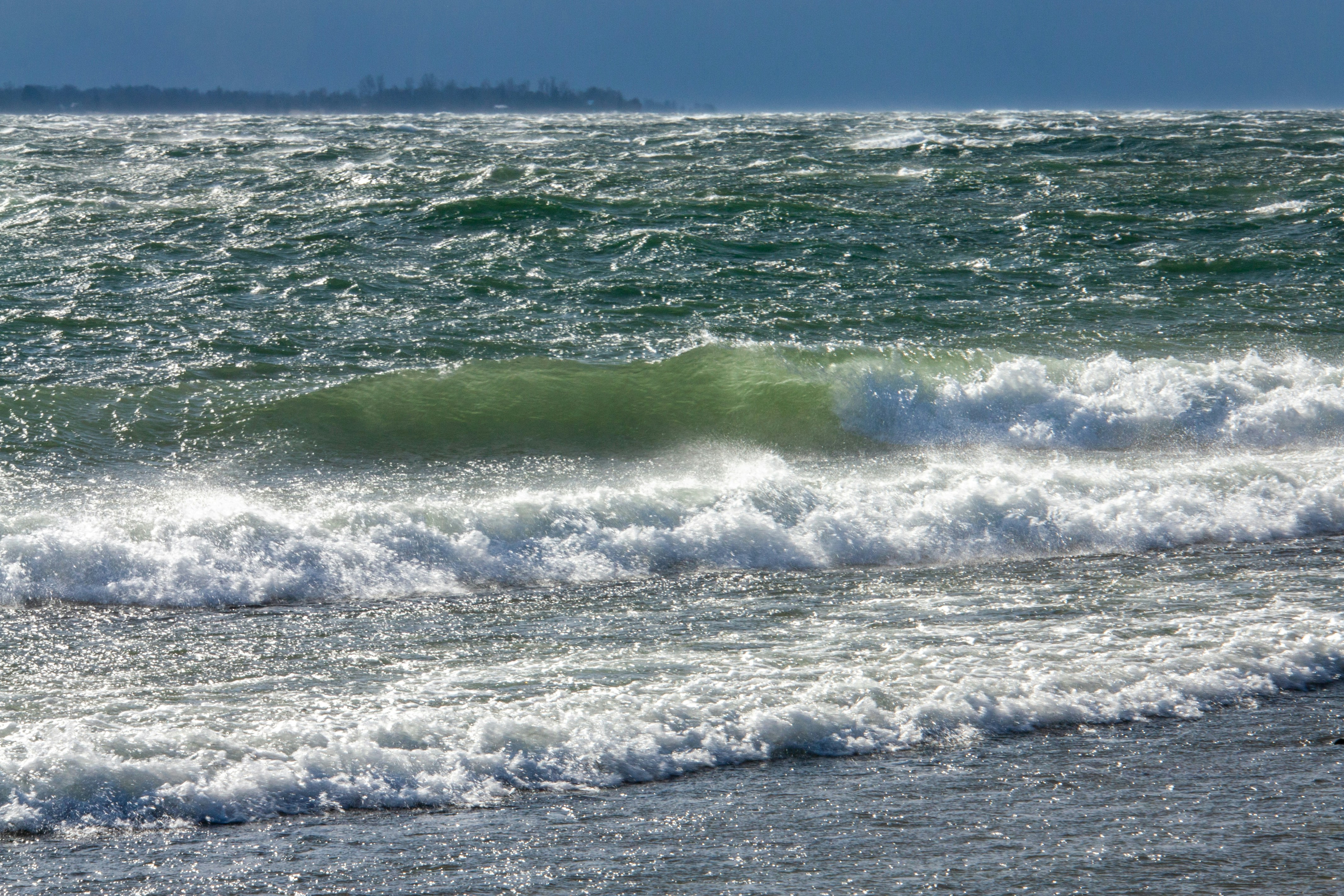 Whispers of the Ocean's Breath