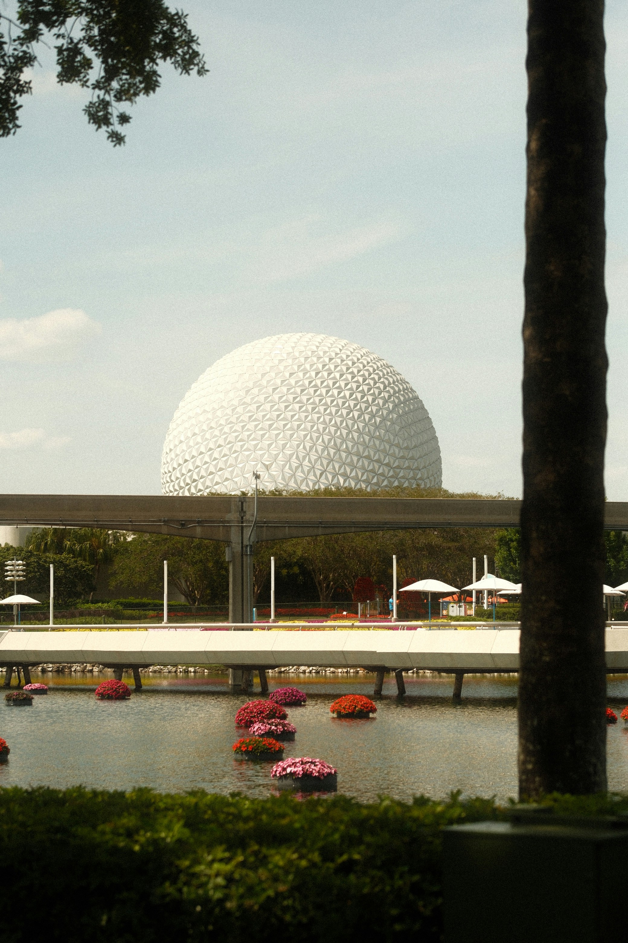 The Architectural Harmony of Nature and Innovation