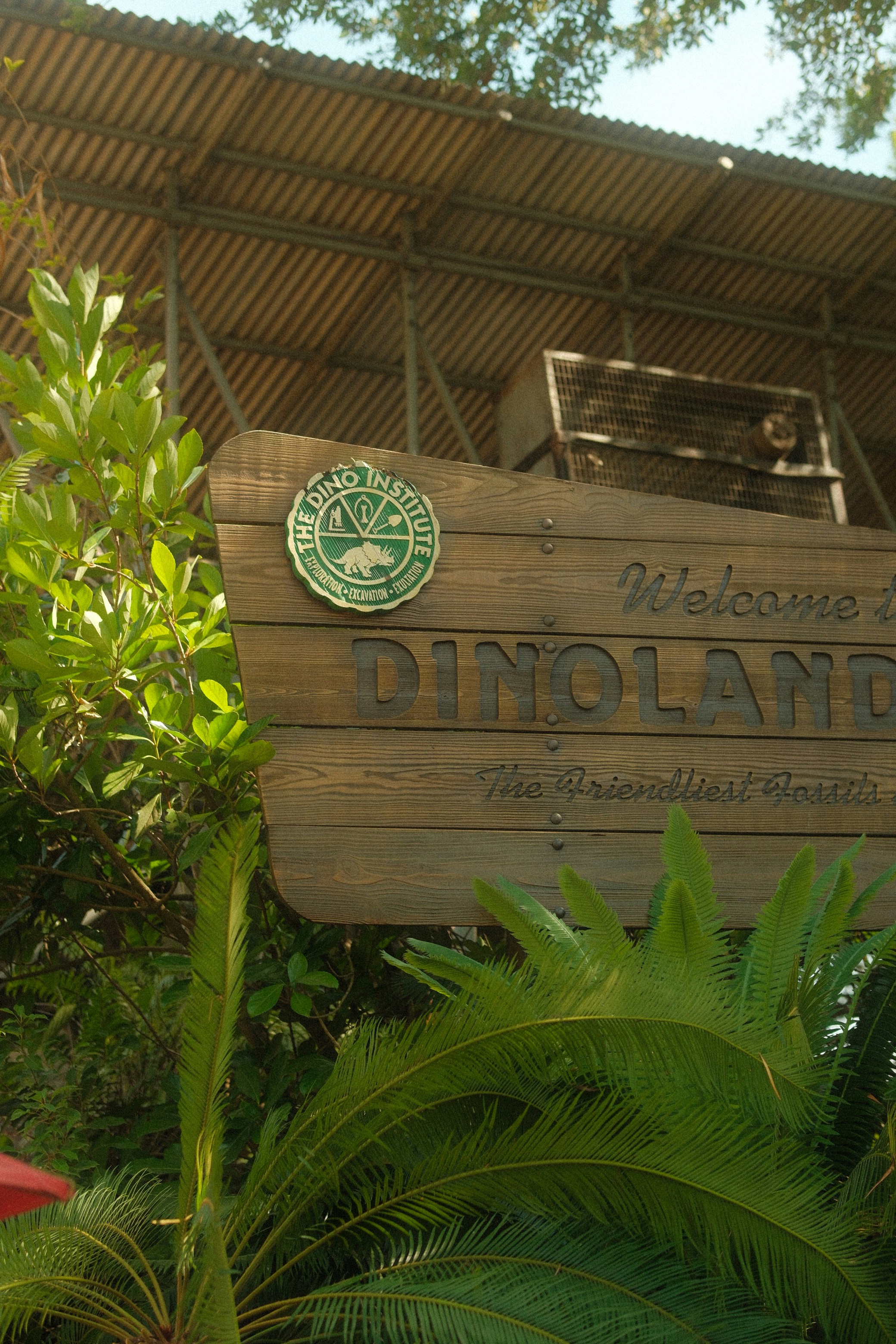 Dinoland Sign in Warm Wood, Framed by Jungle Greens