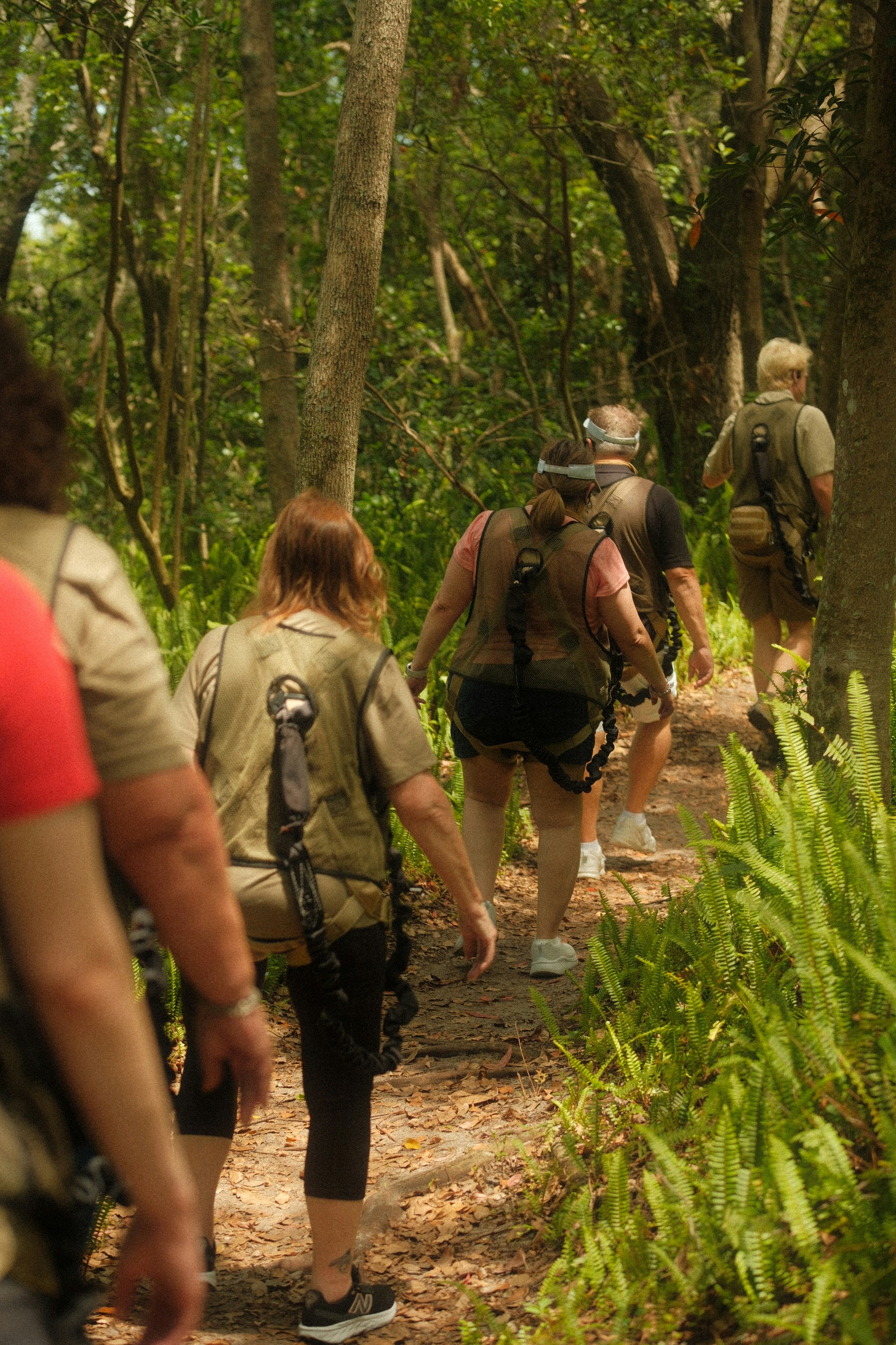 People hike on a wooded trail, harnessed for adventure.