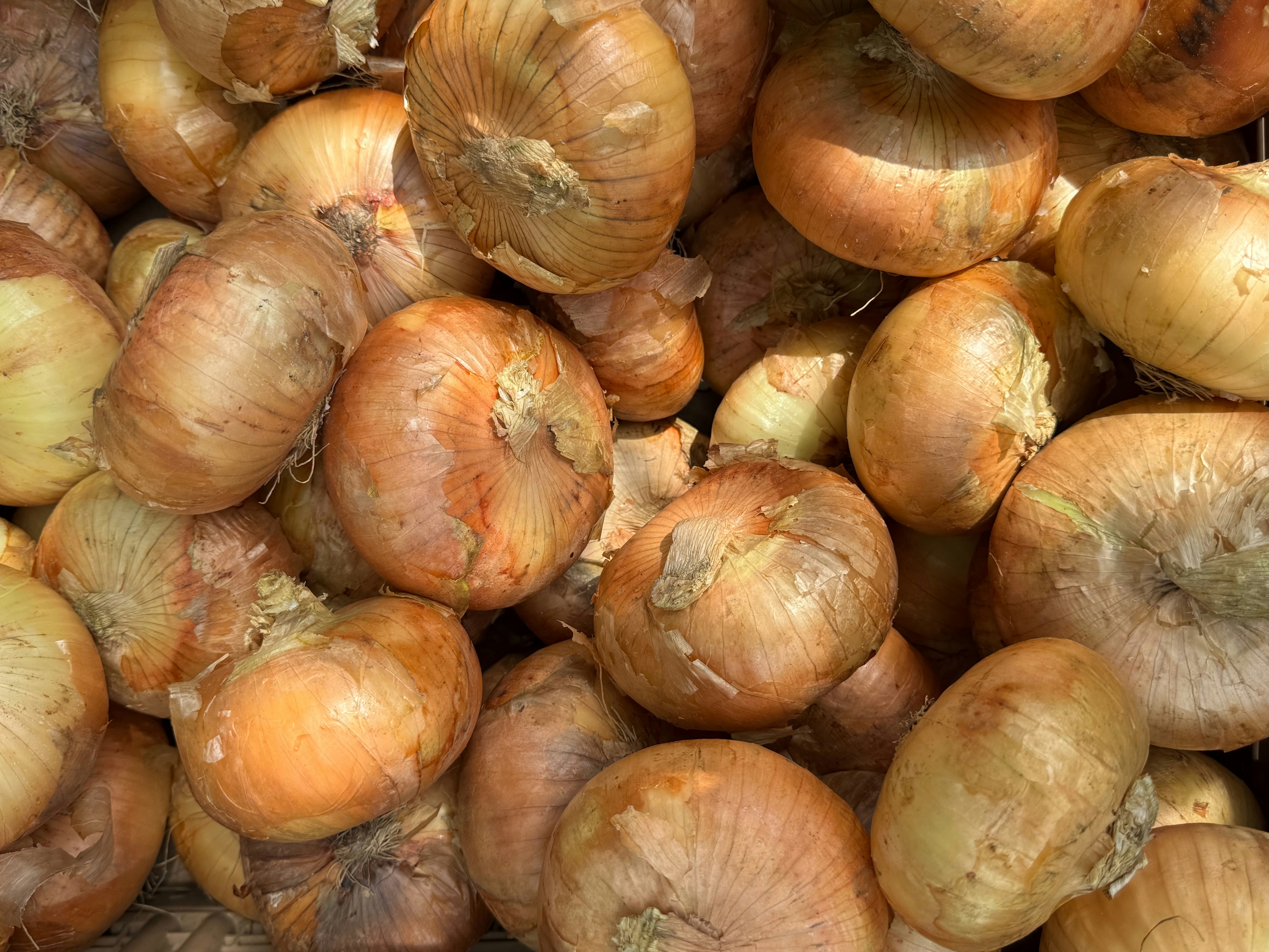 A close-up view of a pile of fresh onions, showcasing their earthy tones and textures. Perfectly harvested and ready for culinary use.
