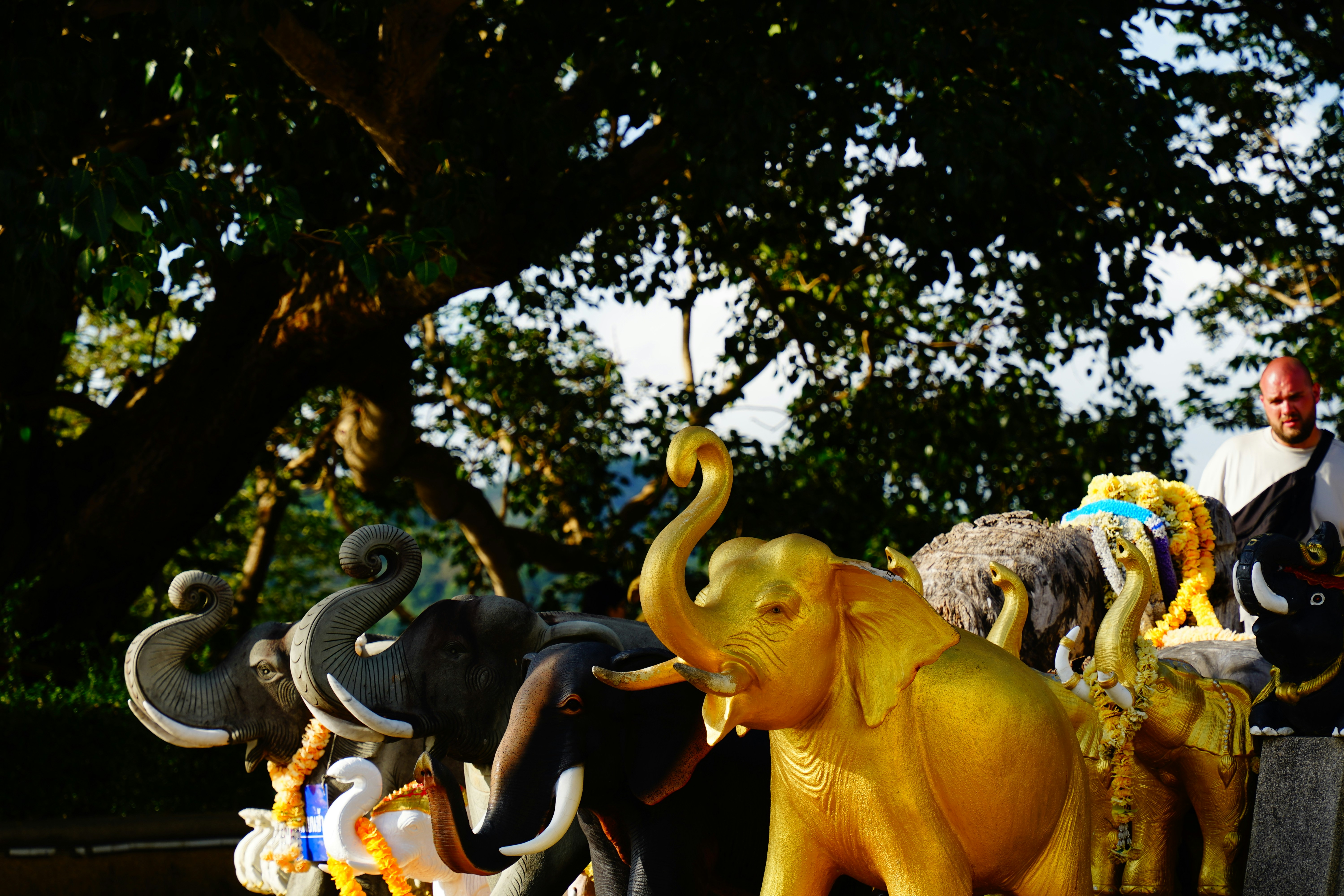 Harmony of Colors: Elephants in Artistry