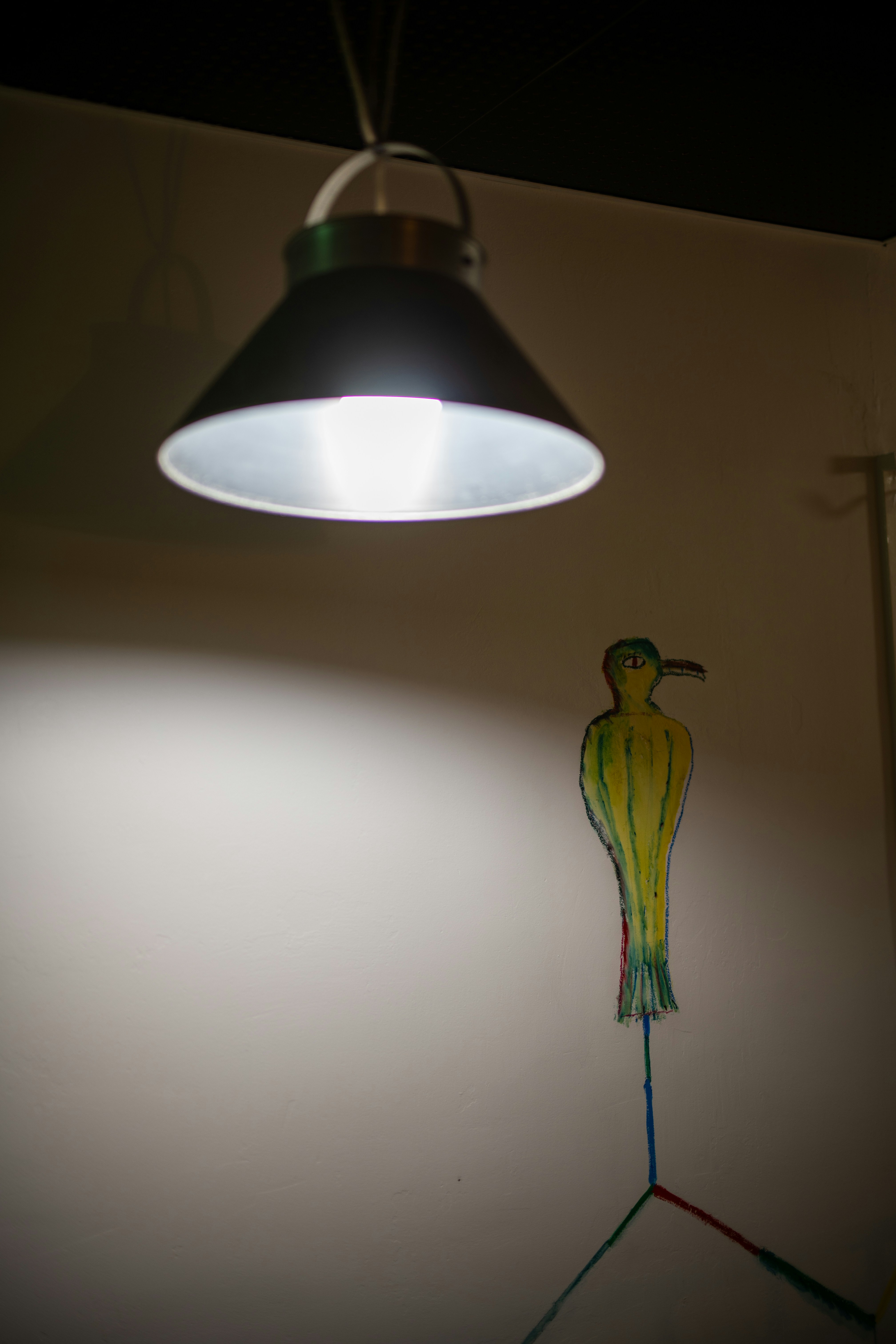 A light shines on a wall with a bird drawing.