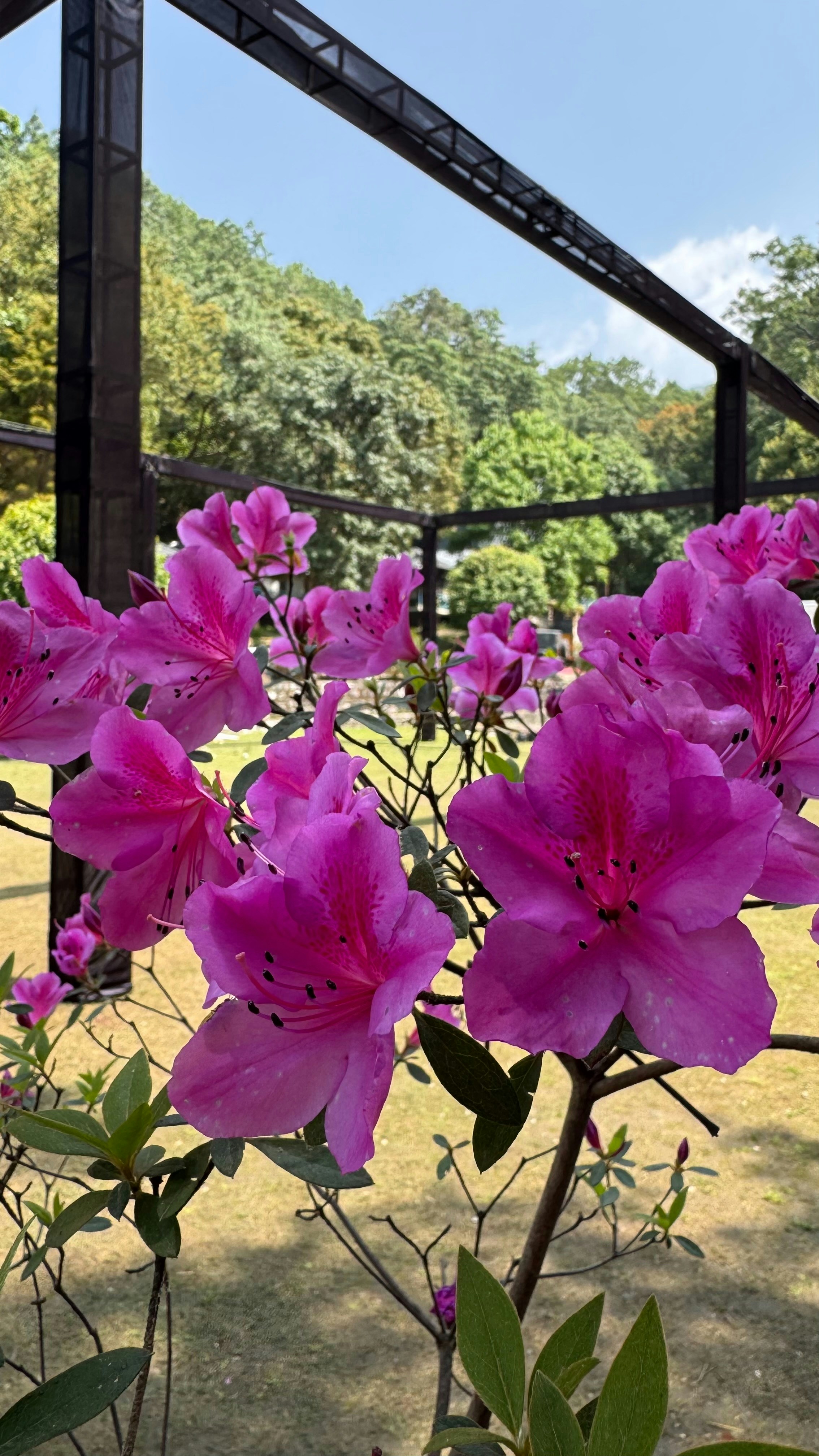 Ananya Jain (@aj306) | Unsplash Photo Community